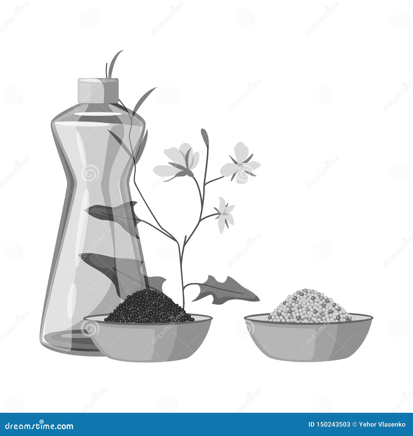 Vector Illustration of Mustard and Rapeseed Icon. Set of Mustard and ...