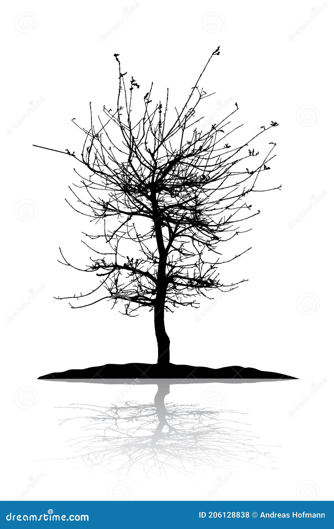 Vector Illustration of Natural Tree. Tree Silhouette with Drop Shadow ...