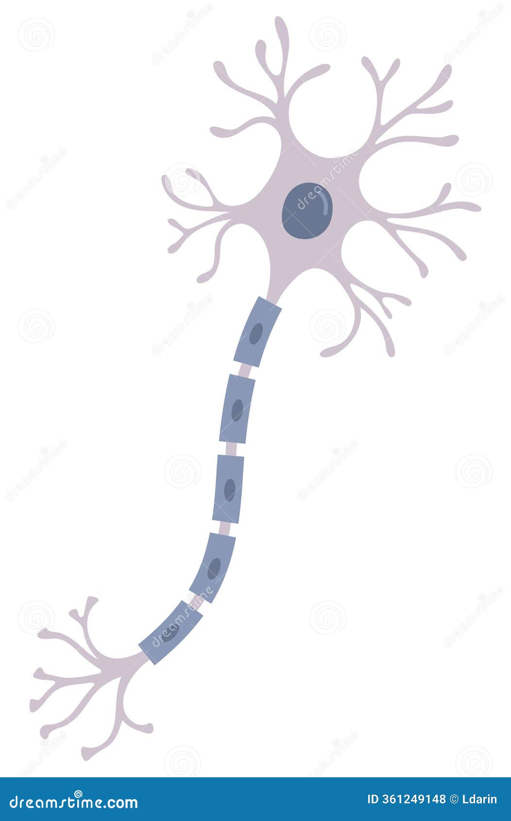 Vector Illustration of Neuron Cell Stock Illustration - Illustration of ...