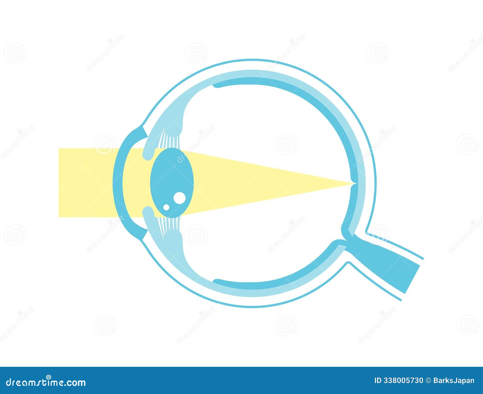Vector Illustration of Normal Vision (no Text Stock Vector ...