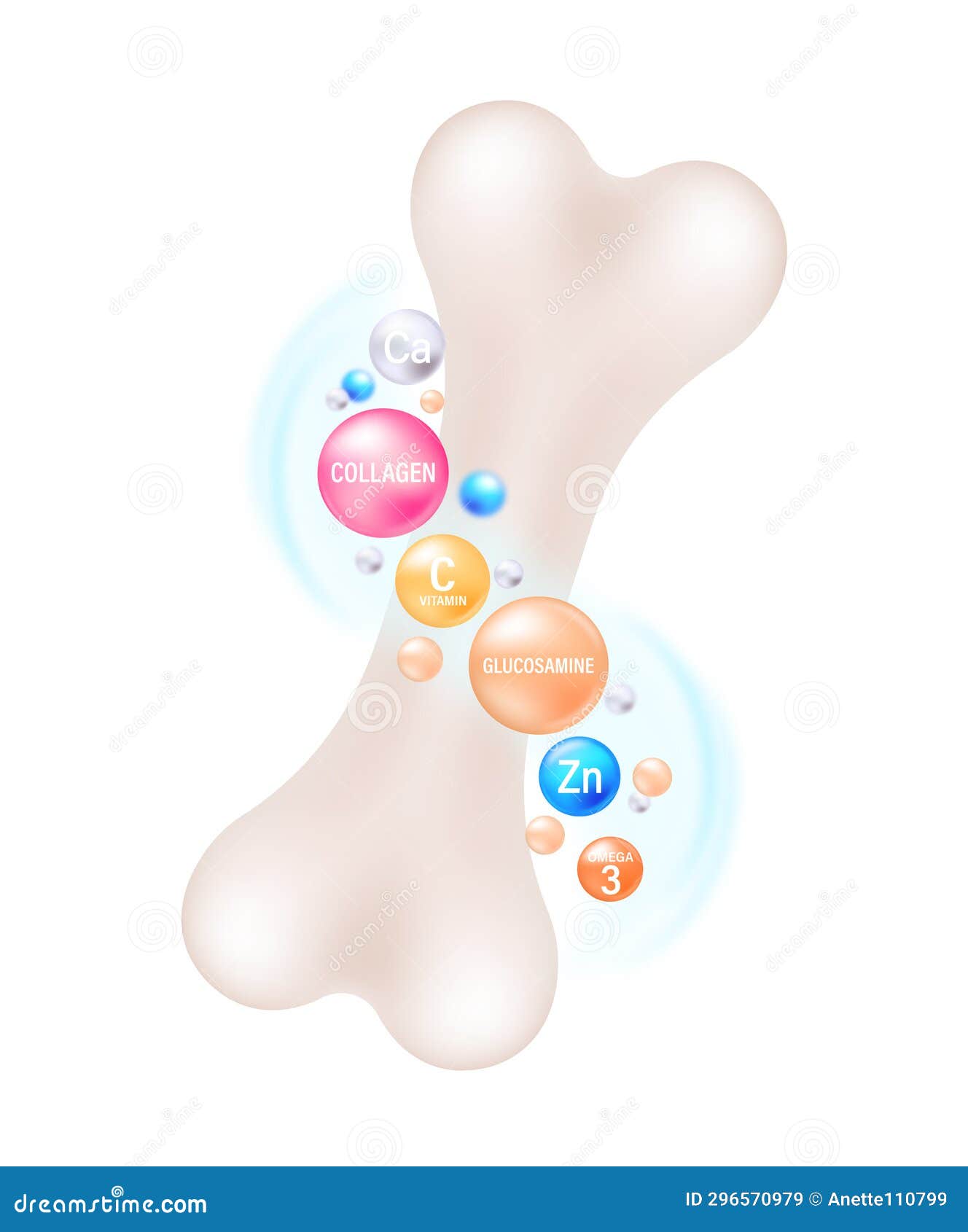 Glucosamine And Bone Health: A Vector Illustration Highlighting Joint ...