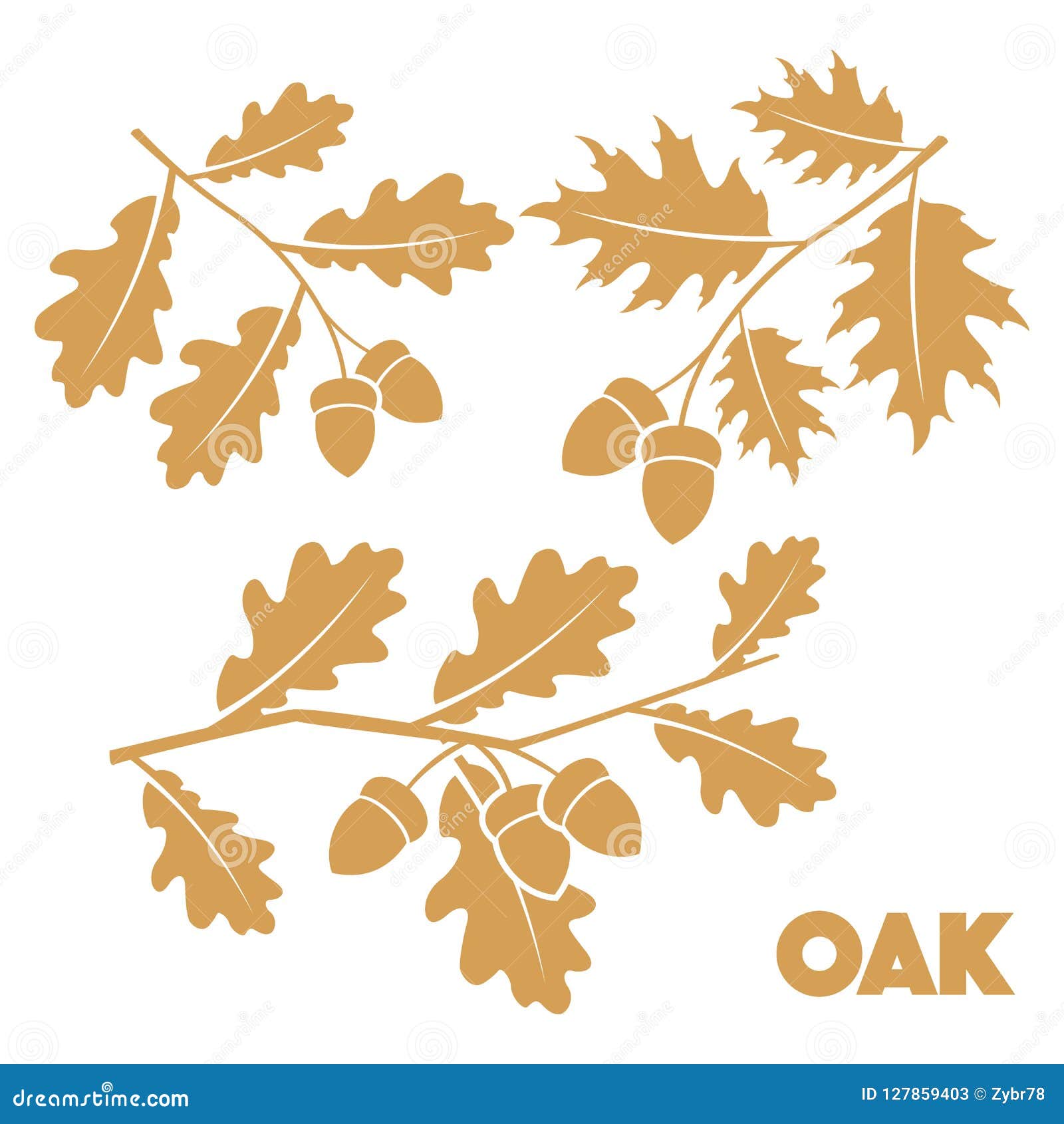Oak branch set stock vector. Illustration of tree, acorn - 127859403