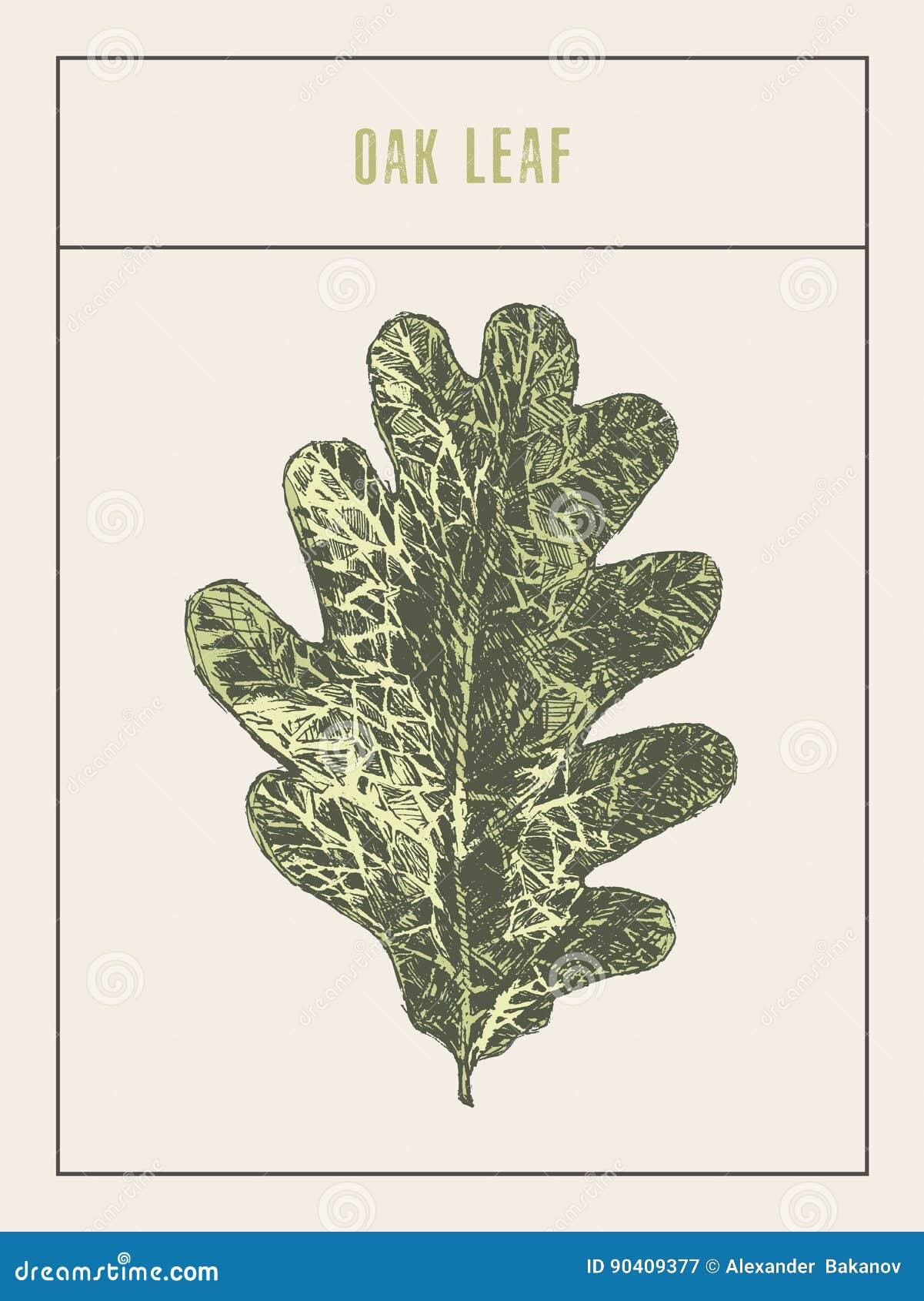 Vector Illustration Oak Leaf, Hand Drawn, Sketch Stock Vector ...