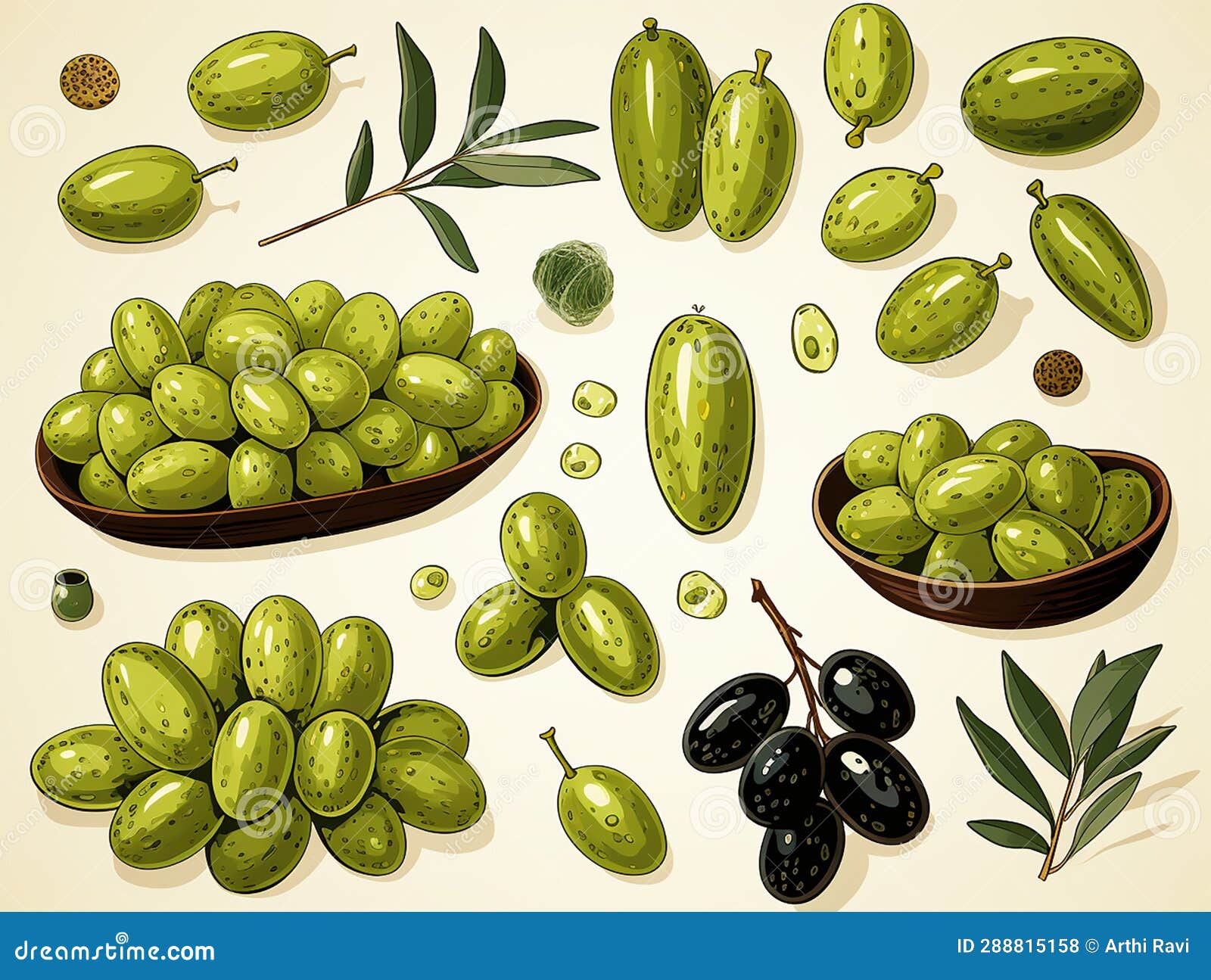 Vector Illustration of Olive Stock Illustration - Illustration of ...
