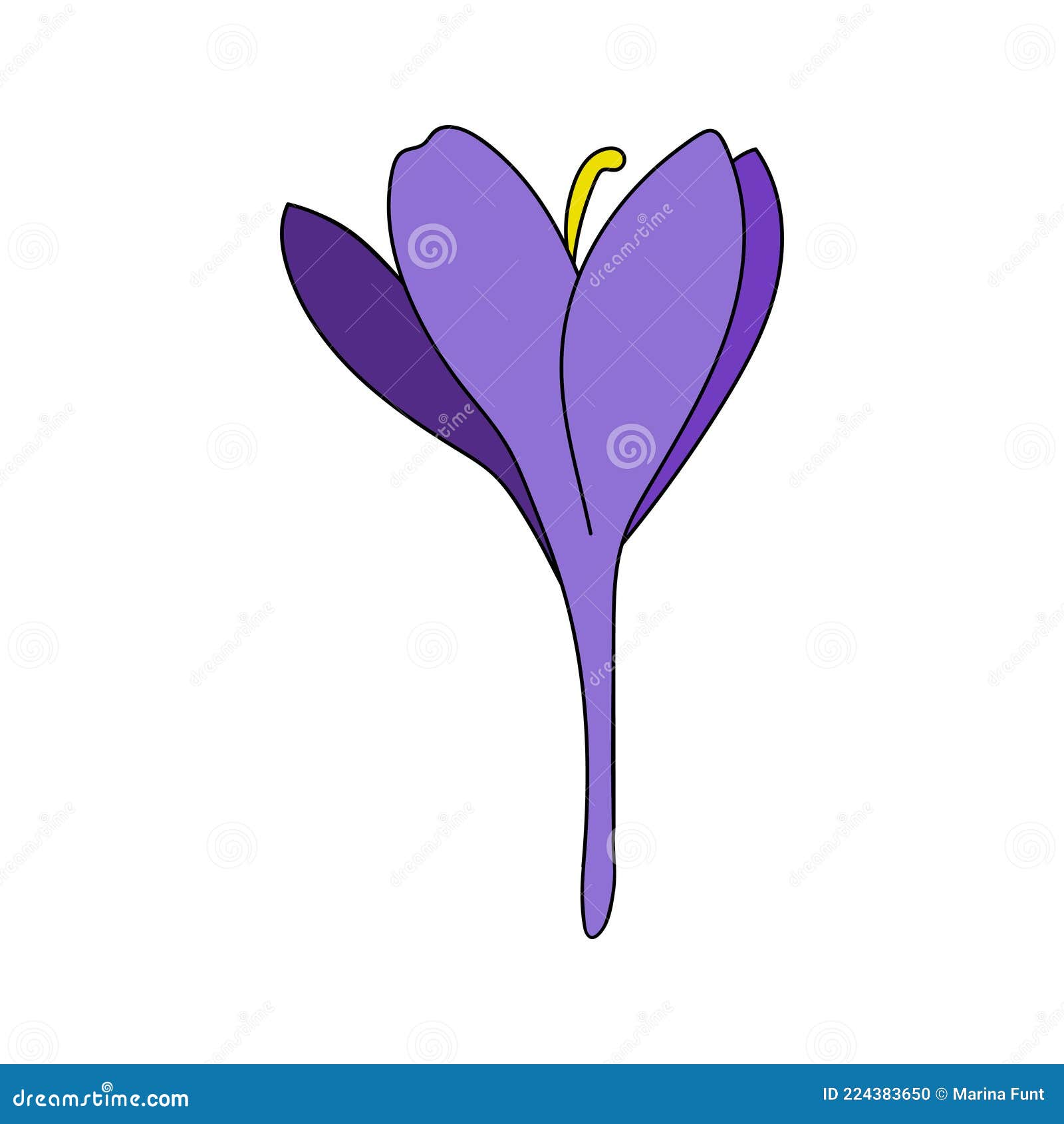 Vector Illustration of One Color Crocus Saffron Flower Linear Drawing ...