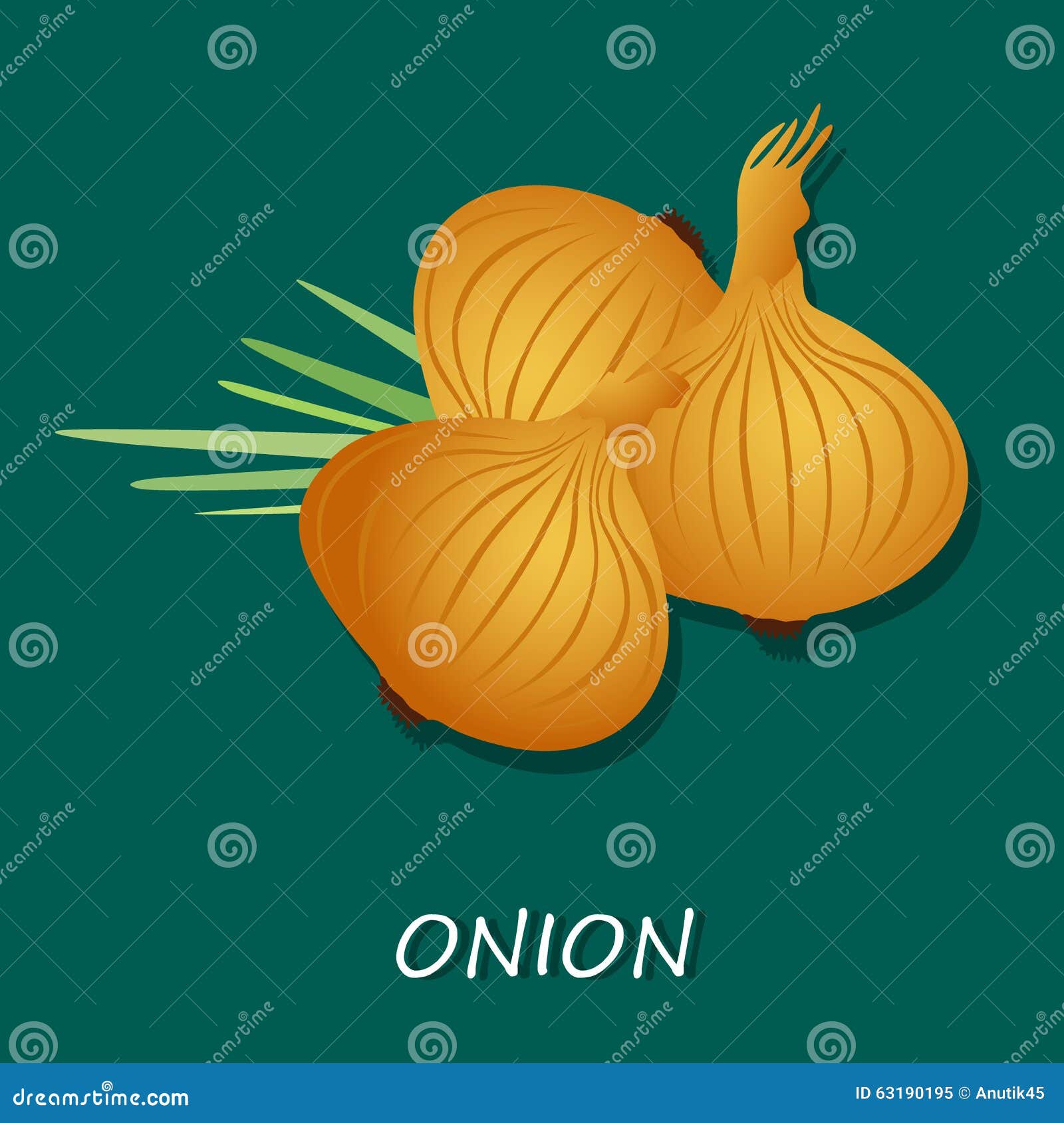 Vector Illustration of Onion, Template, Banner Stock Vector ...