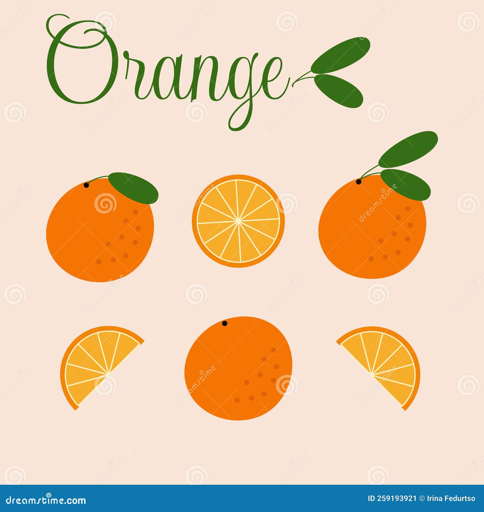 Vector Illustration. Orange Collection in a Flat Style. Stock Vector ...