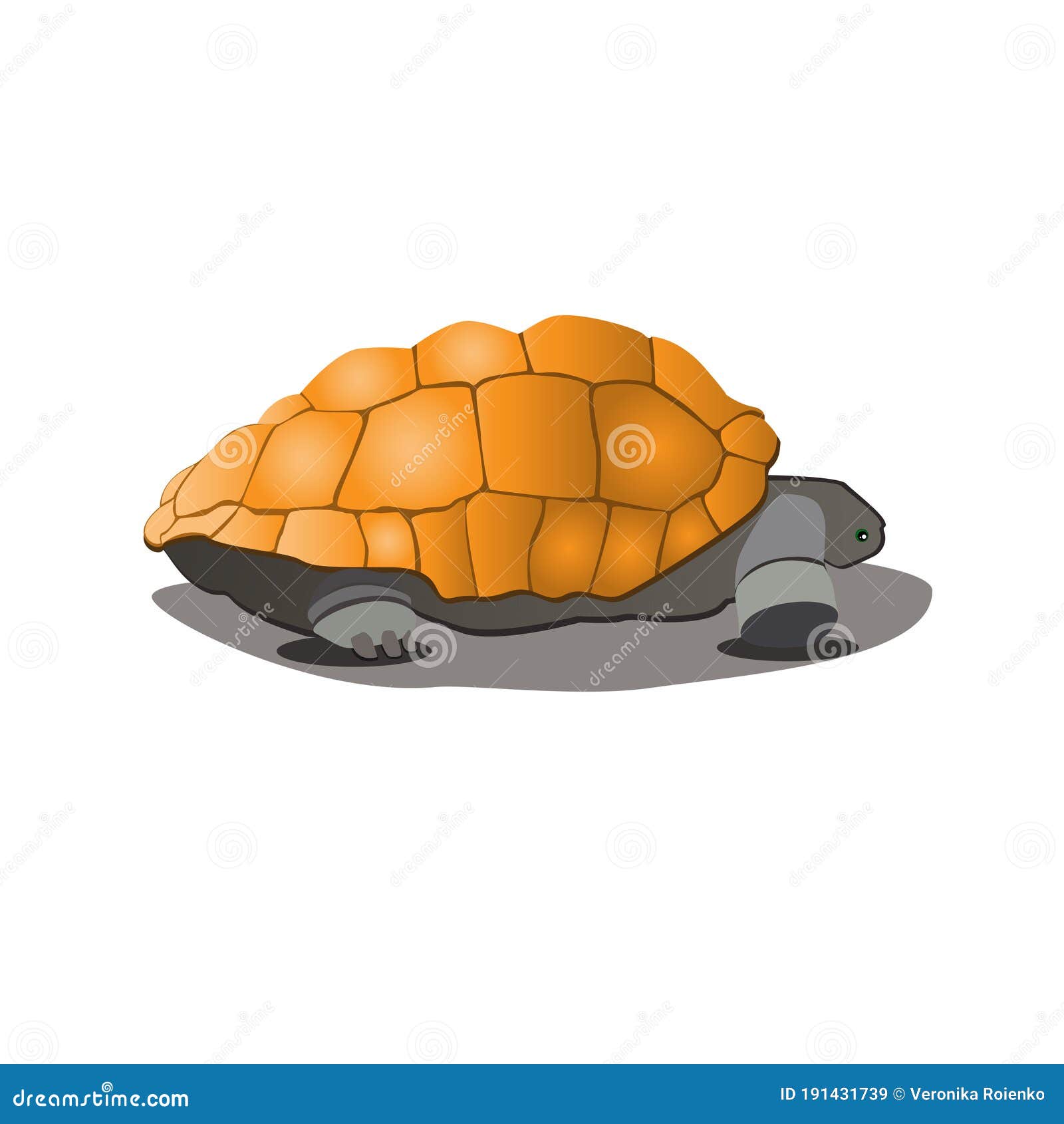 Vector Illustration of Orange and Grey Turtle on White Background Stock ...