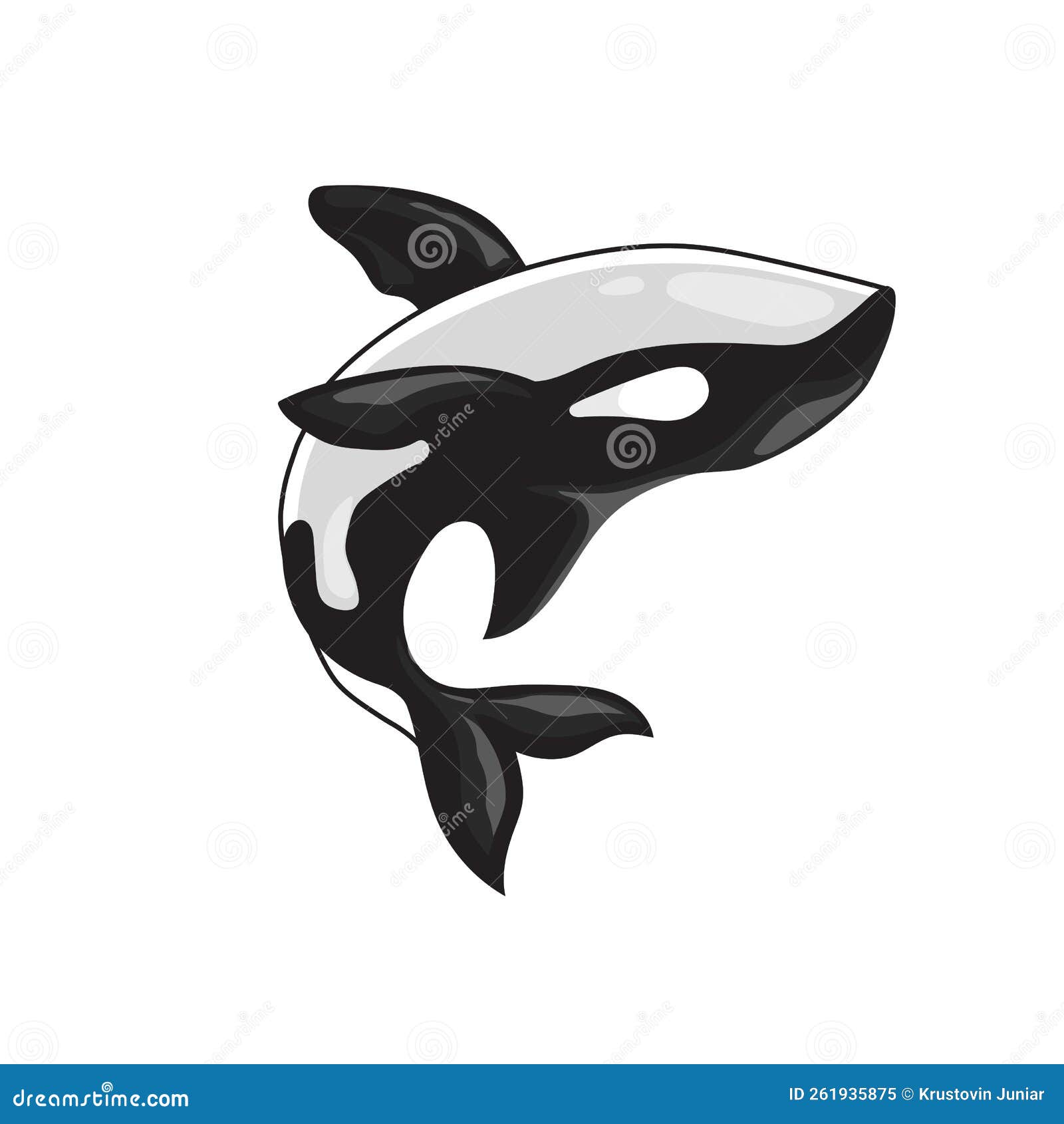 Orca killer whale vector stock vector. Illustration of fish - 261935875