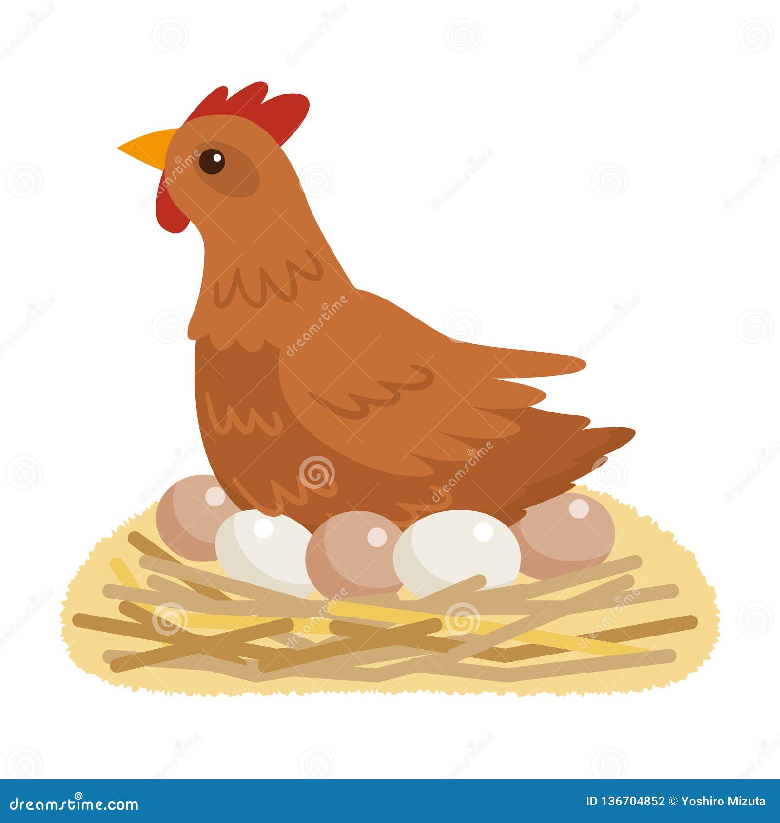 Chicken Sitting in Nest with Eggs Stock Vector - Illustration of life ...