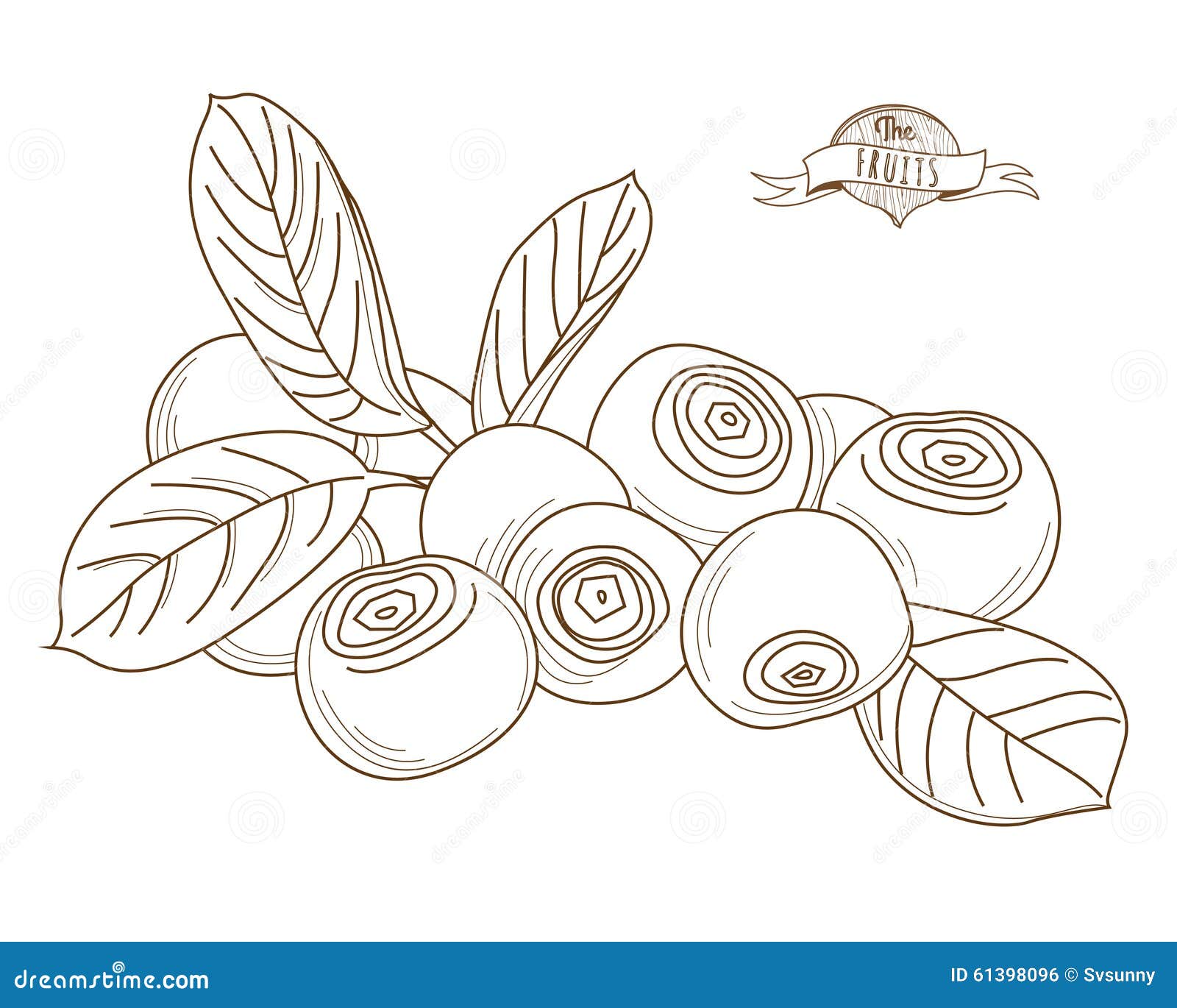 Vector Illustration Outline Hand Drawn Blueberry (flat Style, Th Stock ...