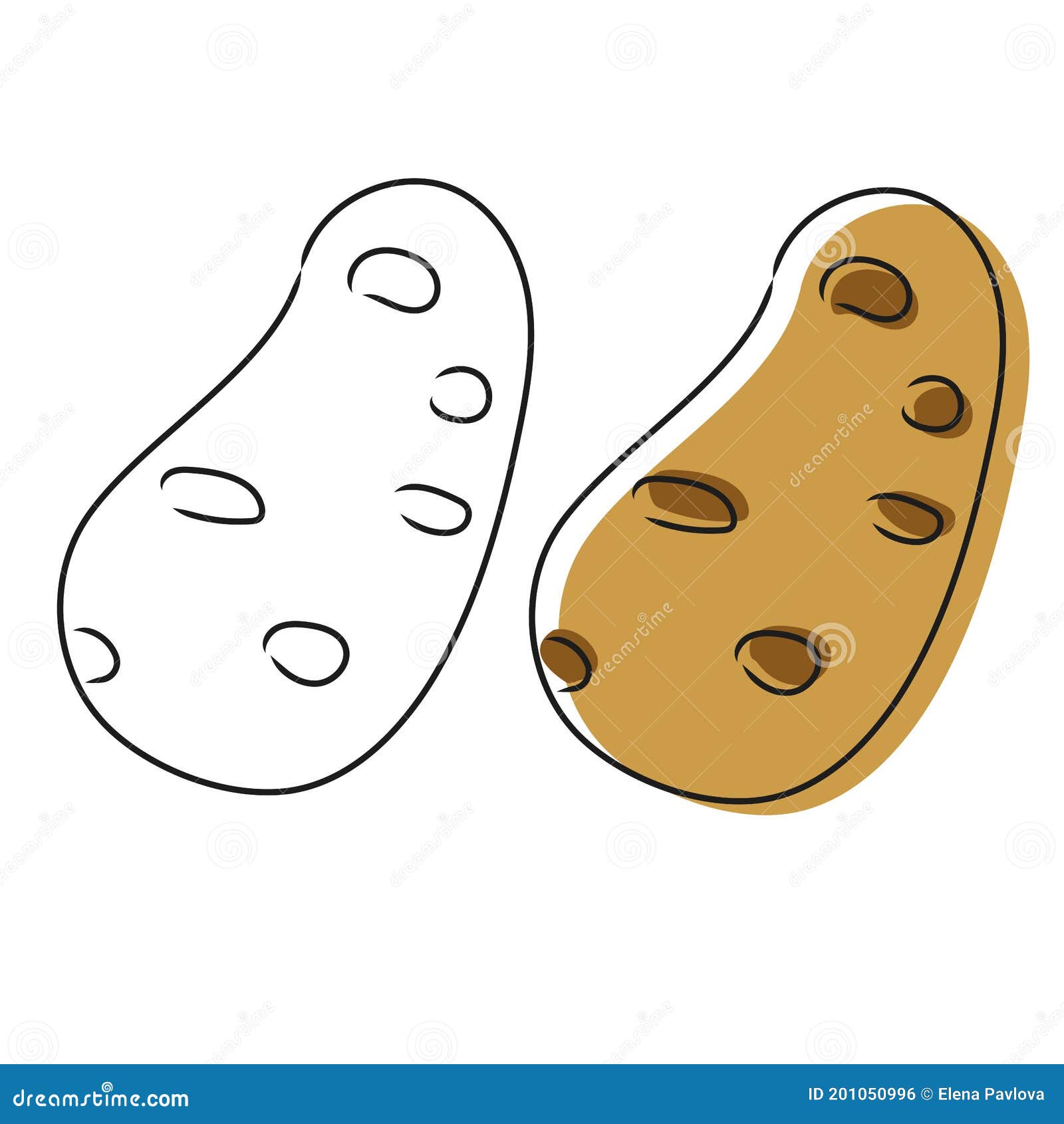 Vector Illustration Outline Hand Drawn Sketch of Potato. Stock Vector ...