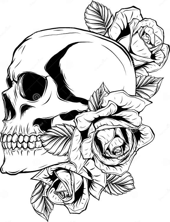 Vector Illustration of Outline Human Skull Design Stock Vector ...