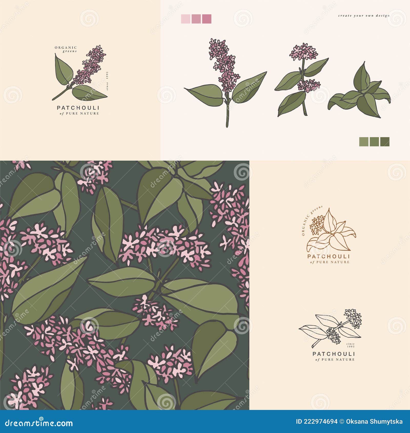 Vector Illustration Patchouli Branch - Vintage Engraved Style. Logo ...