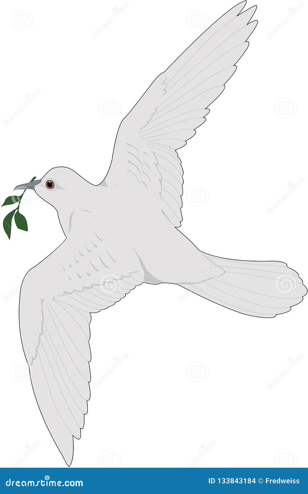 Peace Dove Flying with Olive Branch Illustration Stock Vector ... Peace Dove Flying with Olive Branch Illustration Stock Vector ...