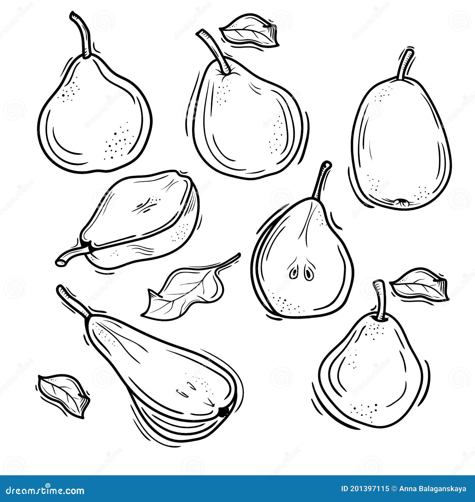 Vector Illustration of Pears in Doodle Style Stock Vector ...