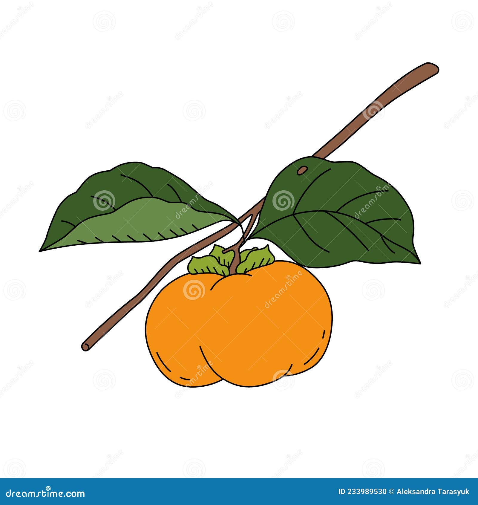 Vector Illustration of a Persimmon on a Branch. Fresh Fruit in Cartoon ...