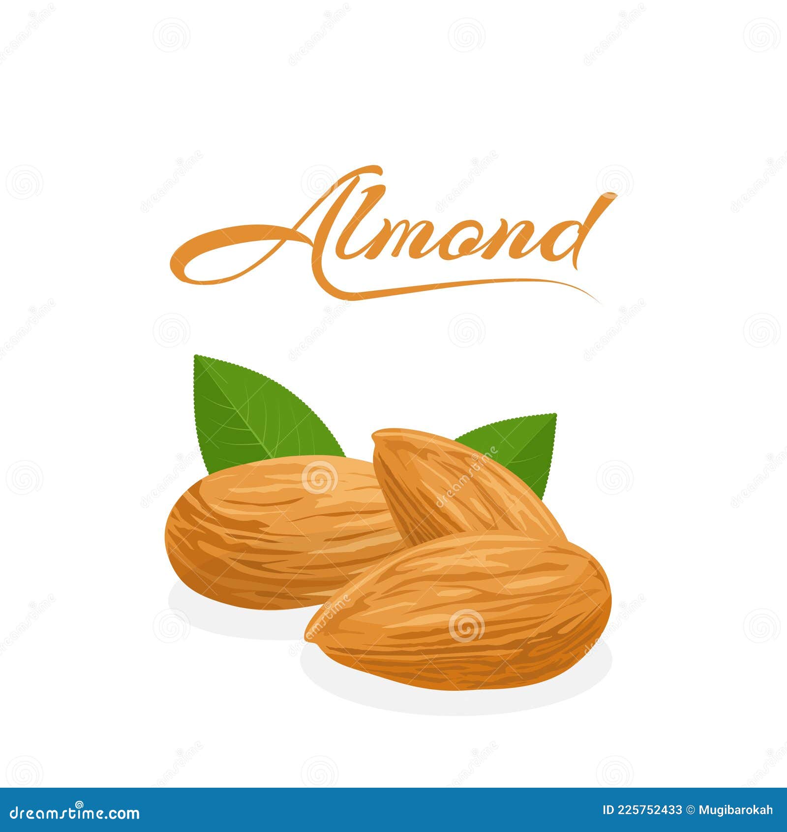 Vector Illustration, Pile of Almonds with Green Leaves Isolated on ...