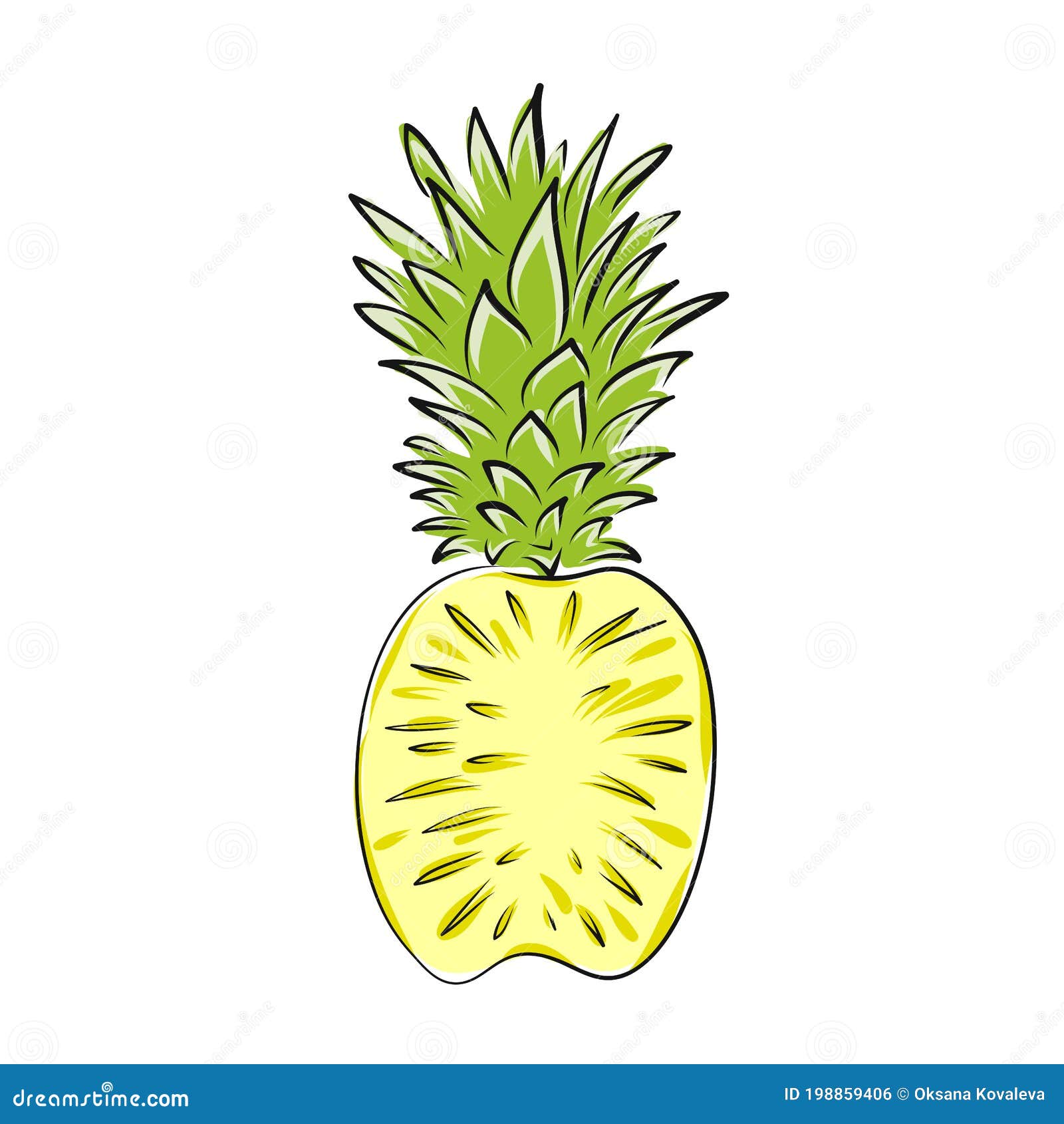 Vector Illustration of Pineapple Slices in the Style of Hand Drawing ...
