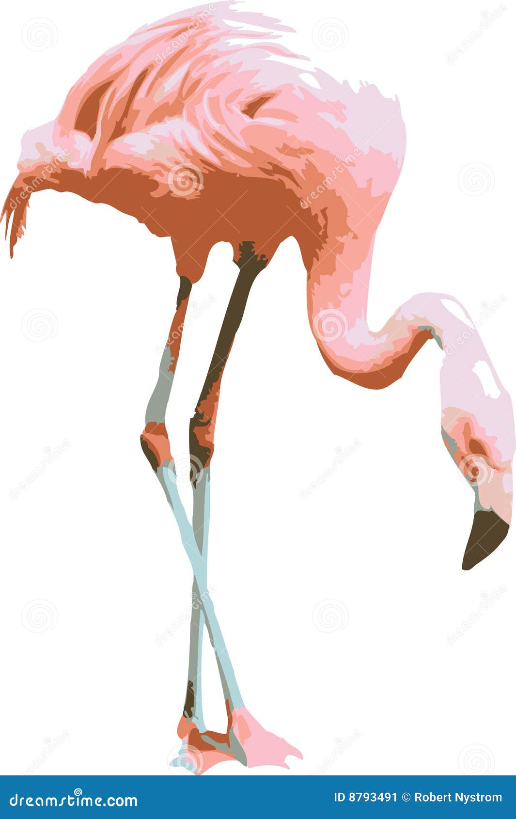 Vector Illustration of a Pink Flamingo Stock Vector - Illustration of ...