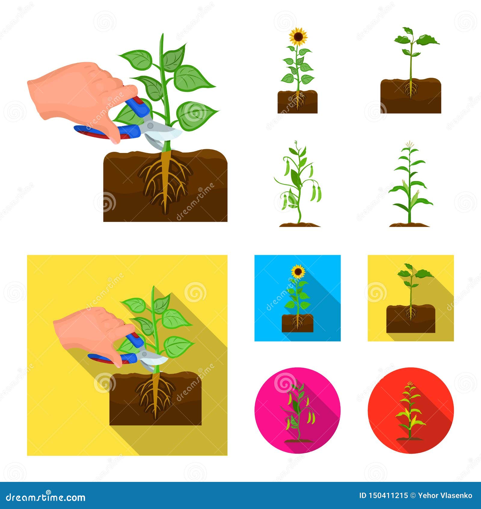 Vector Design of Plant and Bean Logo. Set of Plant and Process Stock ...