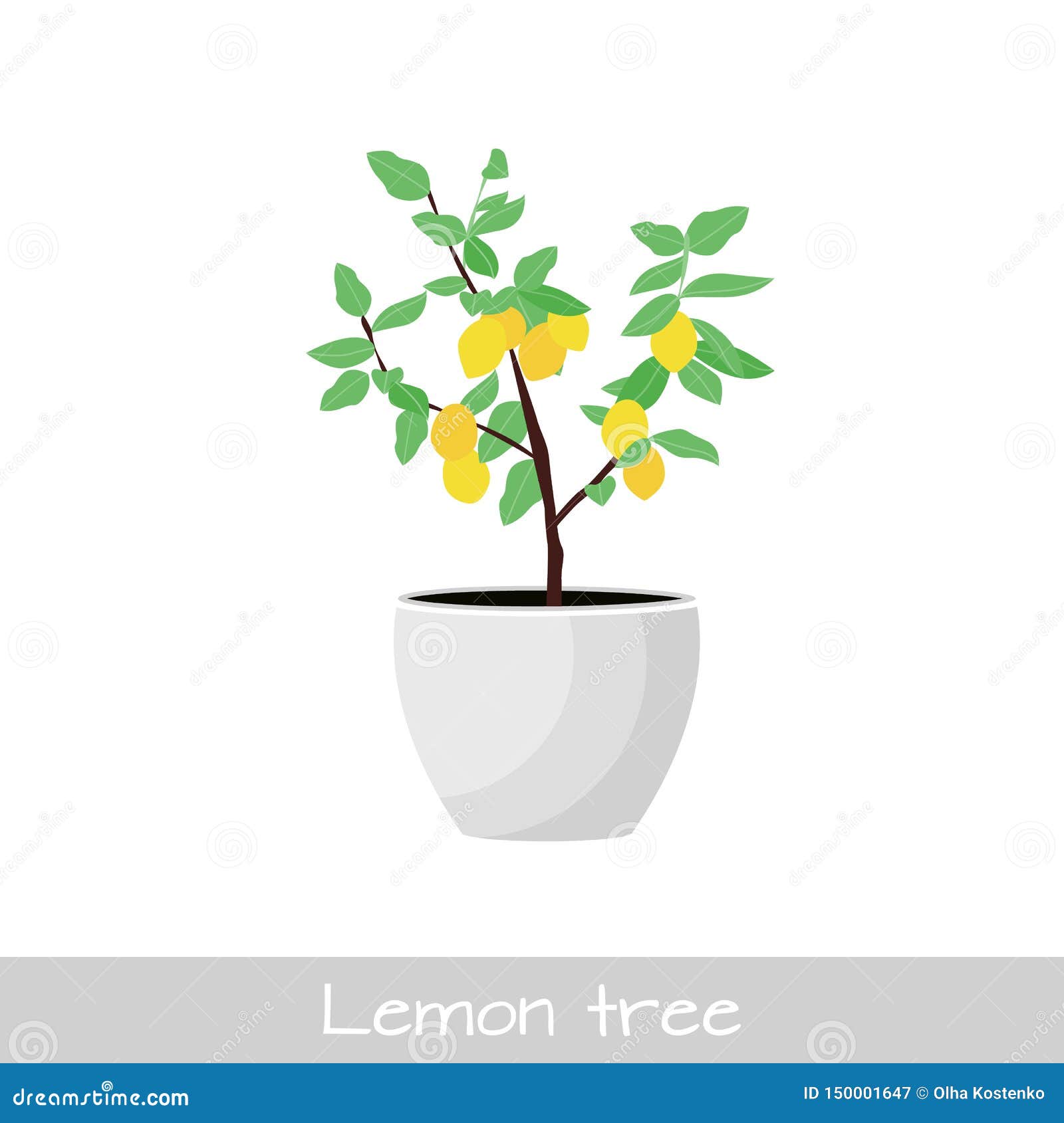 Plant in pot. Lemon tree stock vector. Illustration of agriculture ...