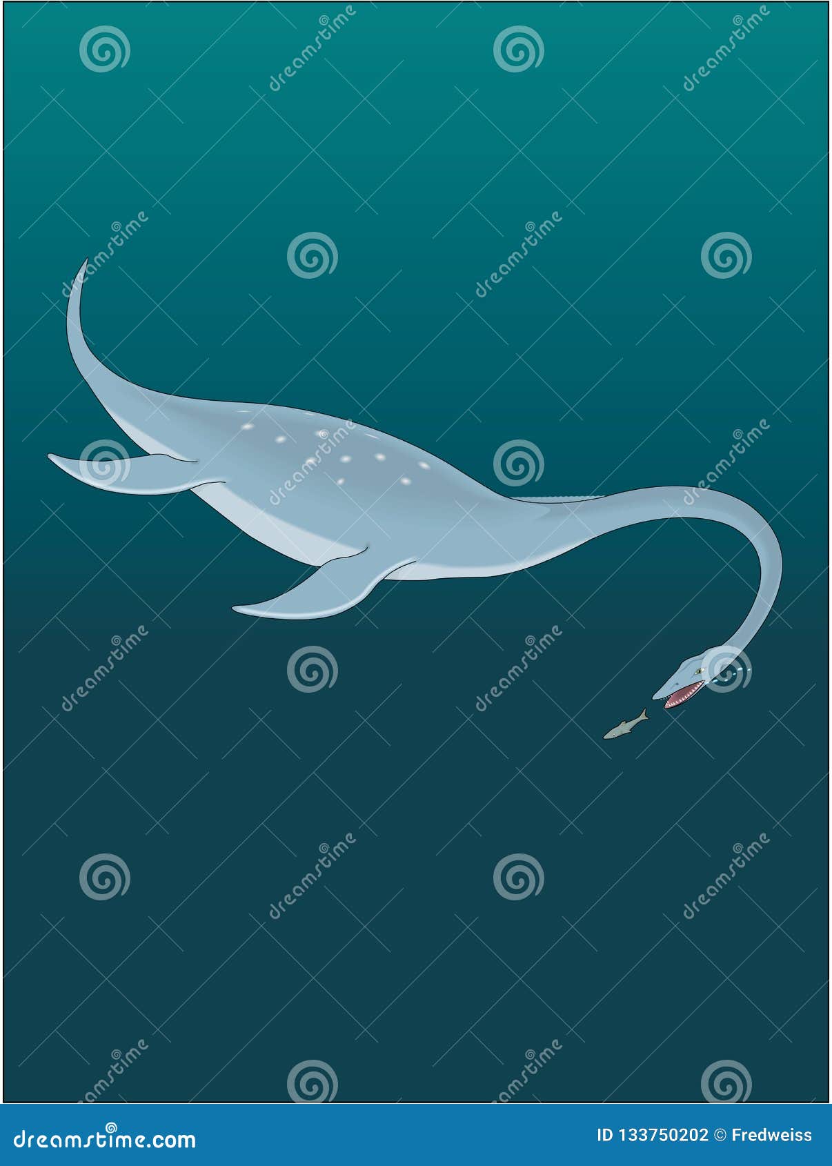 Plesiosaurus Dinosaur Illustration Stock Vector - Illustration of ...