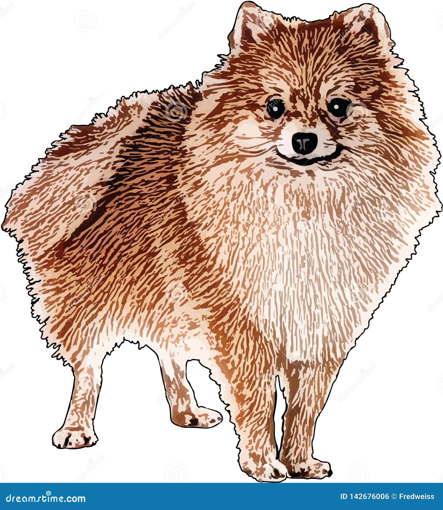Vector Illustration of a Pomeranian Dog Stock Vector - Illustration of ...