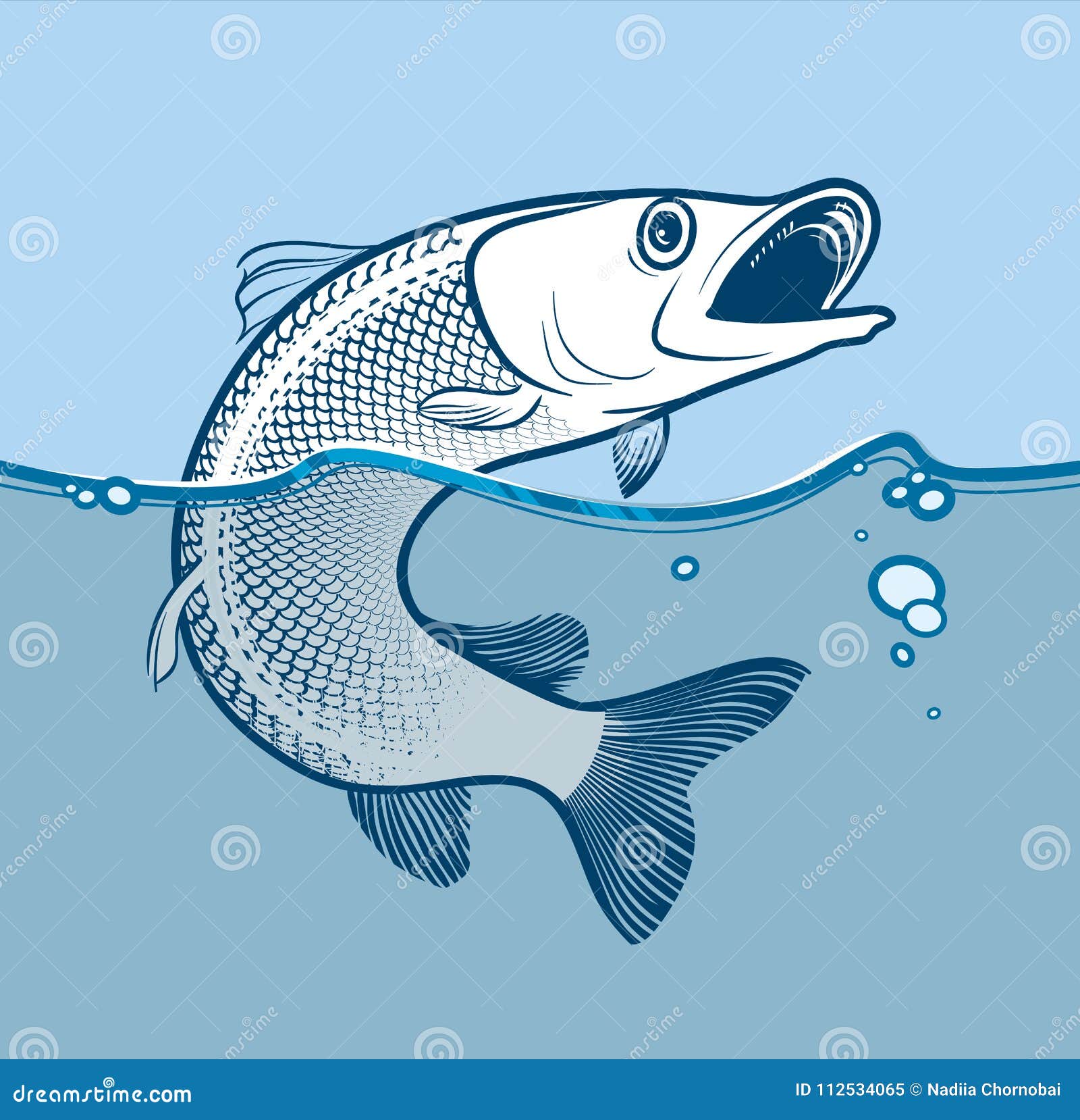 Vector Illustration of Predator Fish that is Jumping from the Water ...
