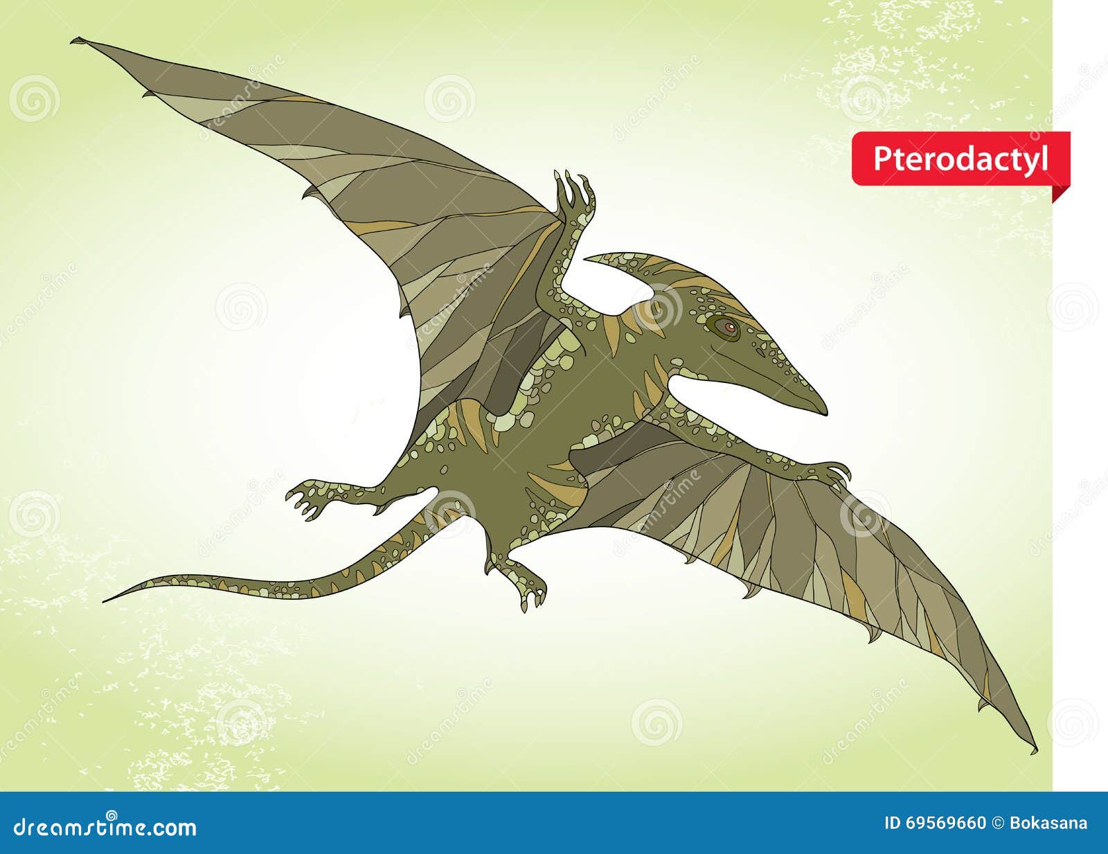 Vector Illustration Of Pterodactyl Or Wing Lizard From Suborders Of ...