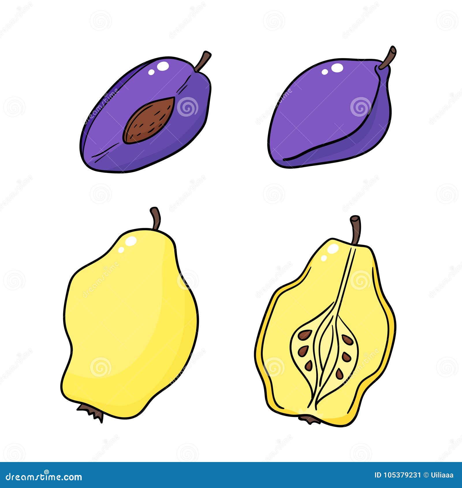 Two Plums Isolated On White. Vector | CartoonDealer.com #17590614