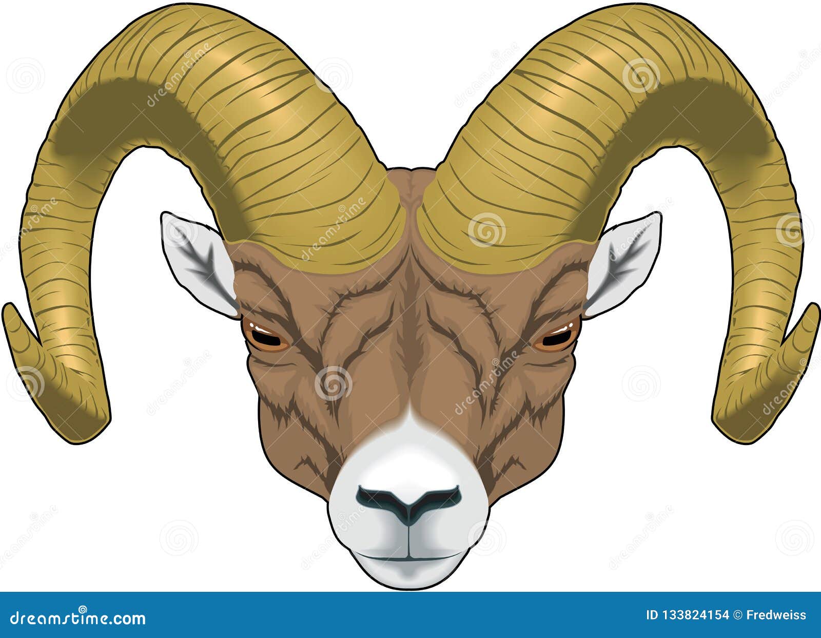 Ram Head Illustration stock vector. Illustration of mammal - 133824154