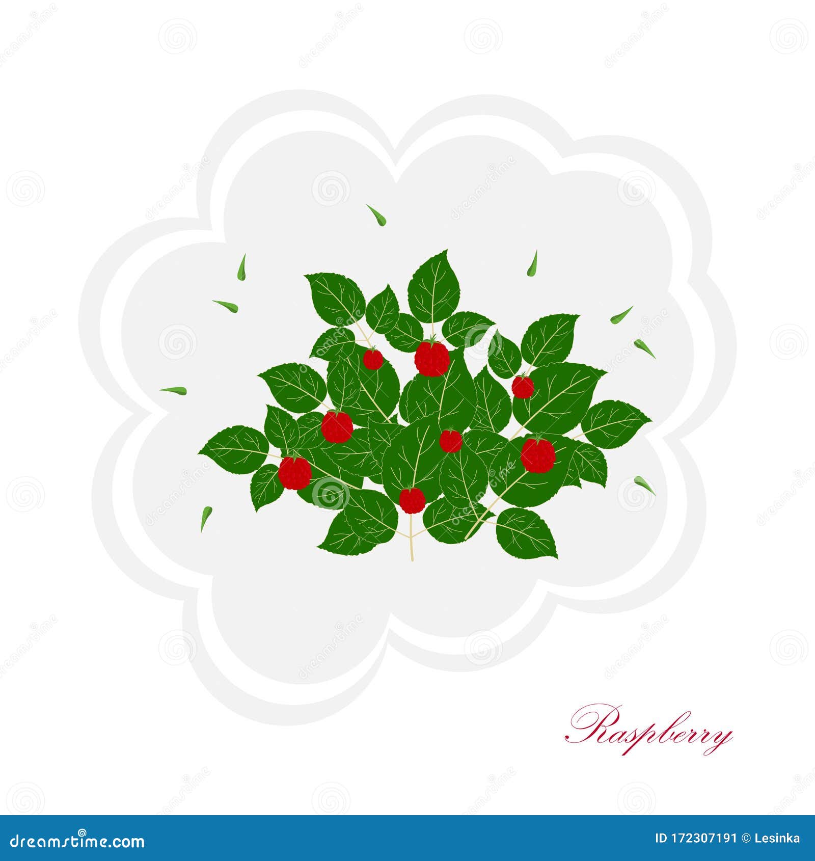 Vector Illustration of a Raspberry Bush Stock Vector - Illustration of ...