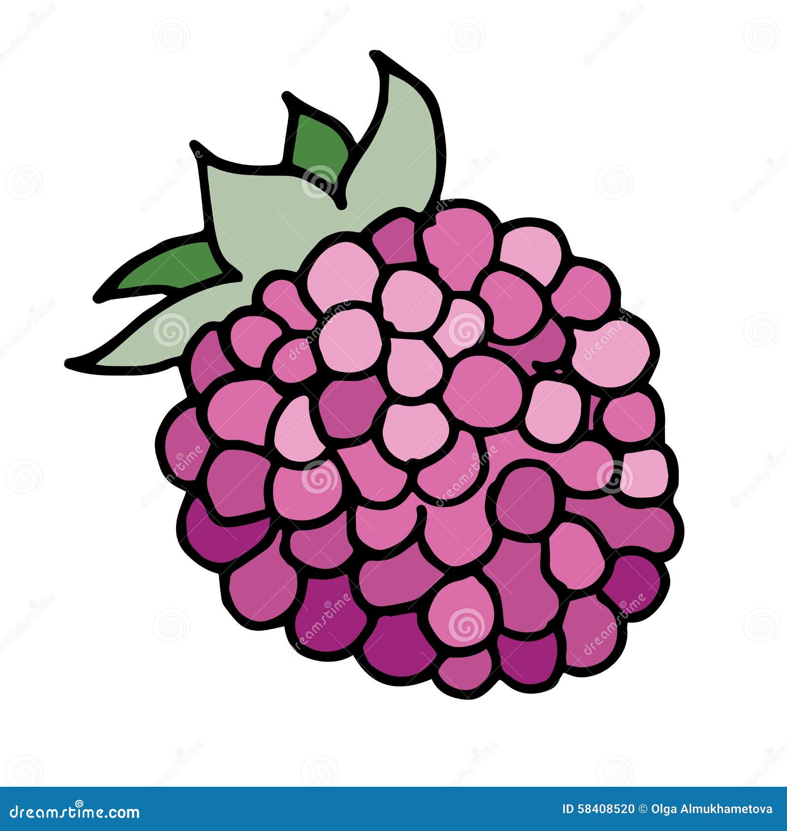 Vector Illustration of Raspberry Stock Vector - Illustration of crimson ...