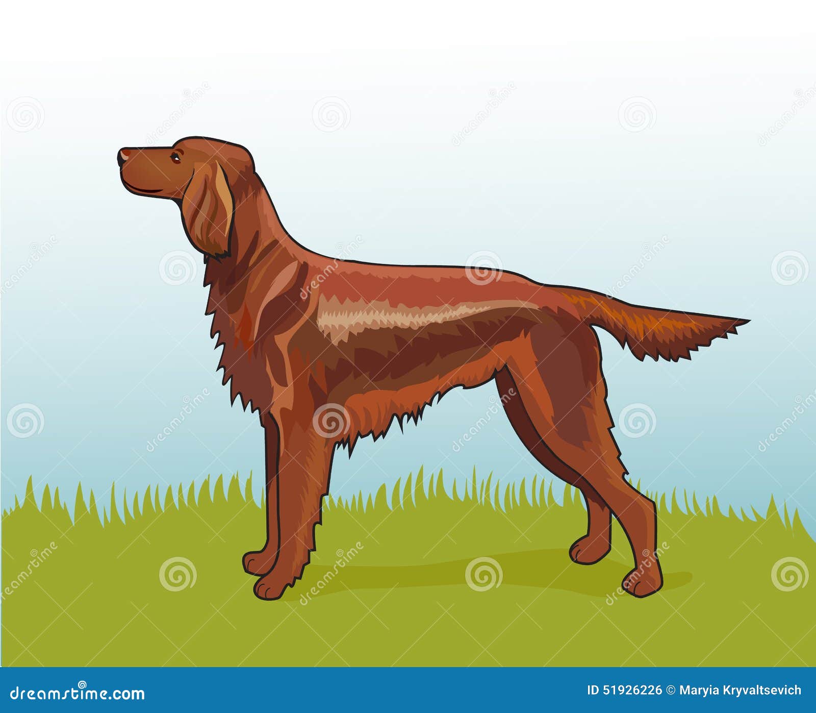 Vector Illustration Realistic Irish Setter Stock Vector - Illustration ...