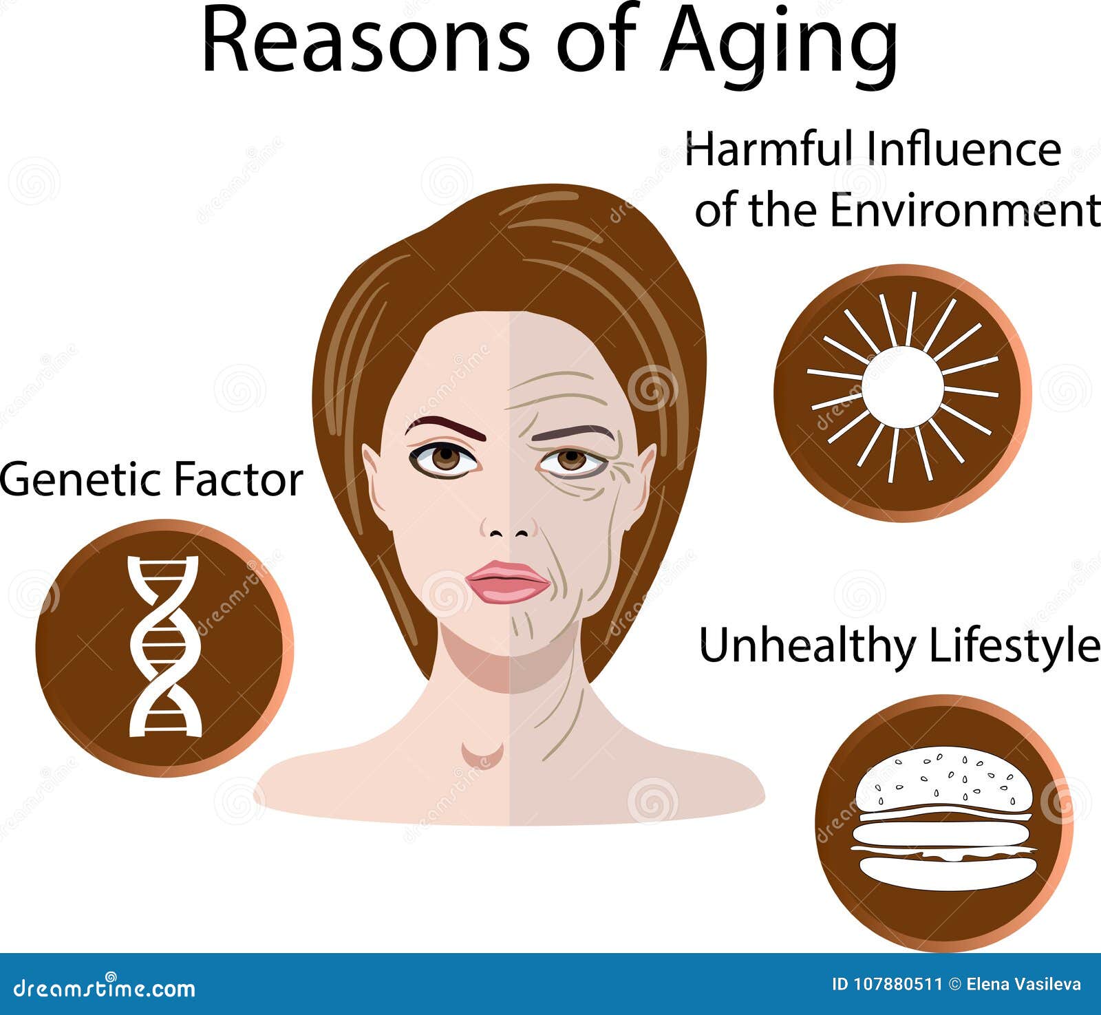 Vector Illustration with Reasons of Aging, Isolated Stock Vector ... Vector Illustration with Reasons of Aging, Isolated Stock Vector ...