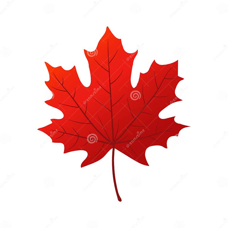 Vector Illustration of Red Maple Leaf Icon. Stock Vector - Illustration ...