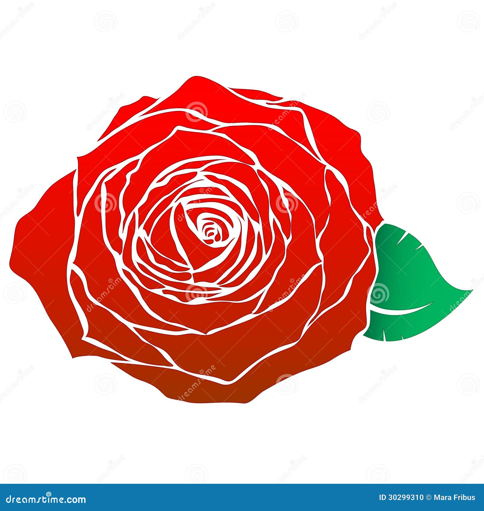 Red rose head stock vector. Illustration of petal, leaf - 30299310