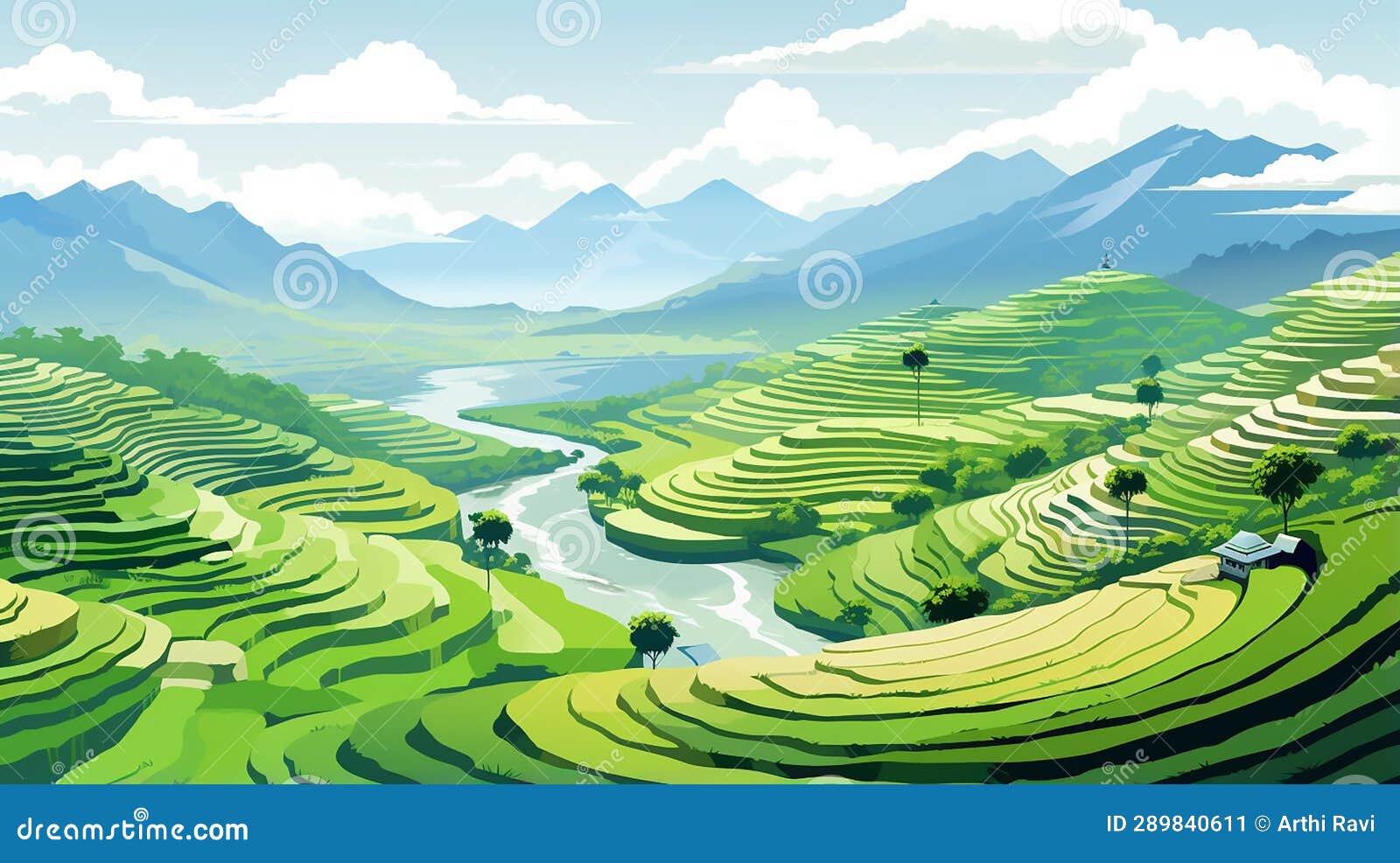 Vector Illustration of Rice Terraces Stock Illustration - Illustration ...