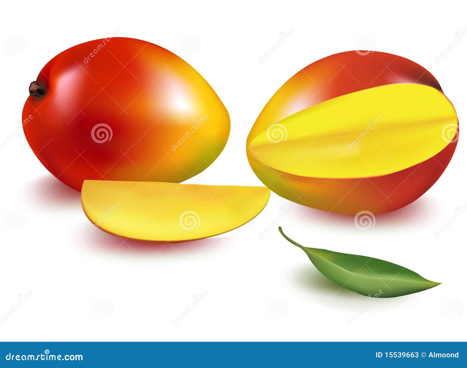 Vector Illustration. Ripe Mango Stock Vector - Illustration of mango ...