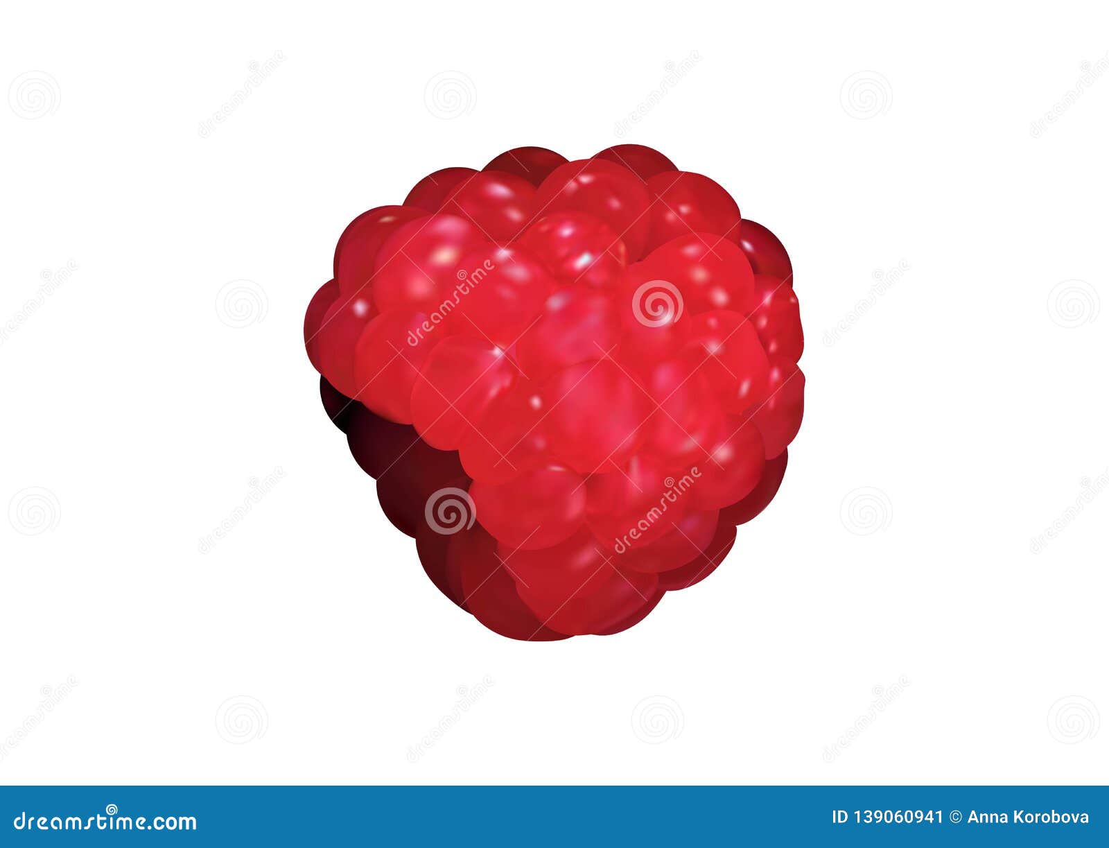 Vector Illustration of Ripe Realistic Raspberry Isolated on White ...