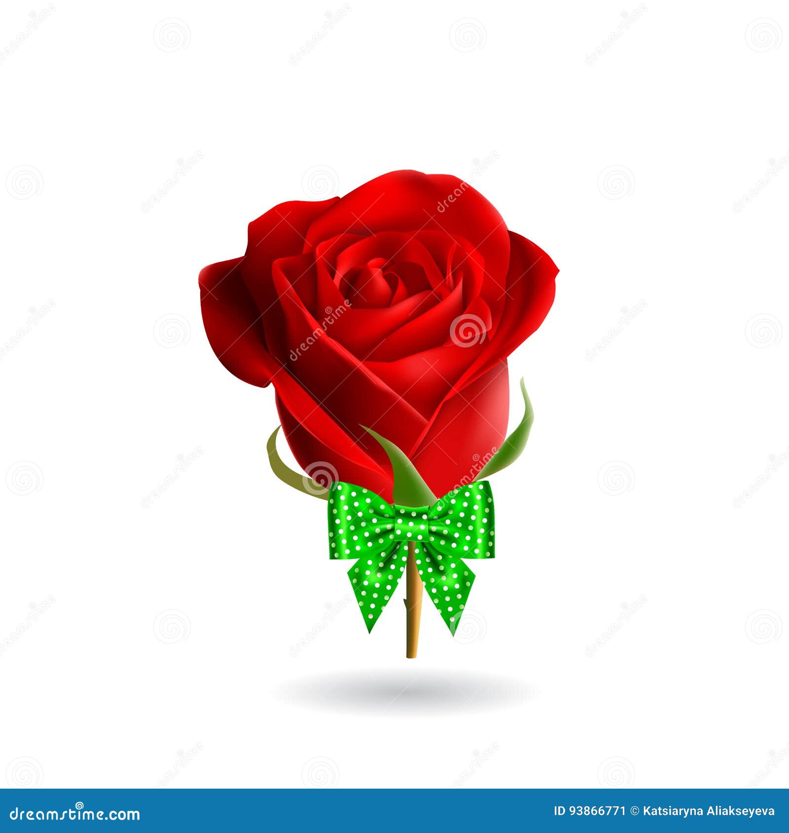 Vector Illustration of a Rose with a Bow Stock Illustration ...