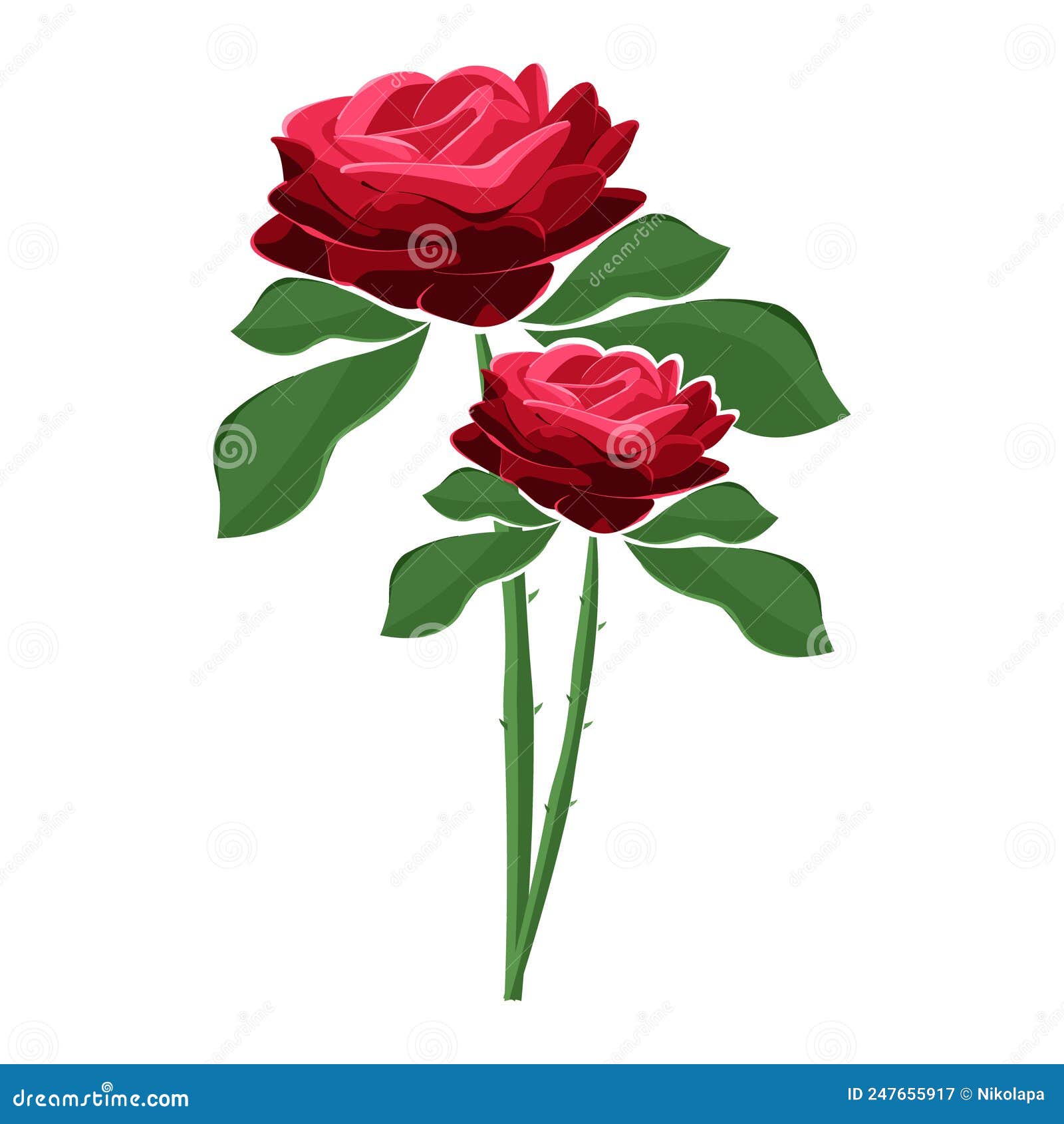 Vector Illustration of a Rose Stock Vector - Illustration of roses ...