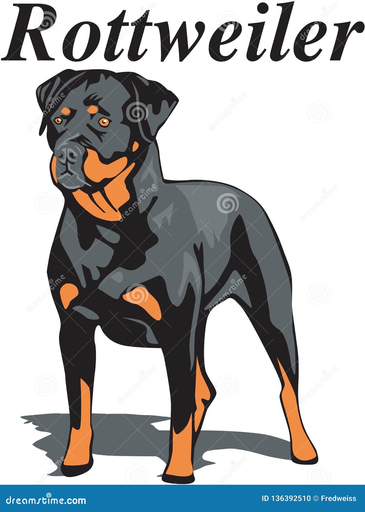 Rottweiler Cartoons, Illustrations & Vector Stock Images - 9742 ...