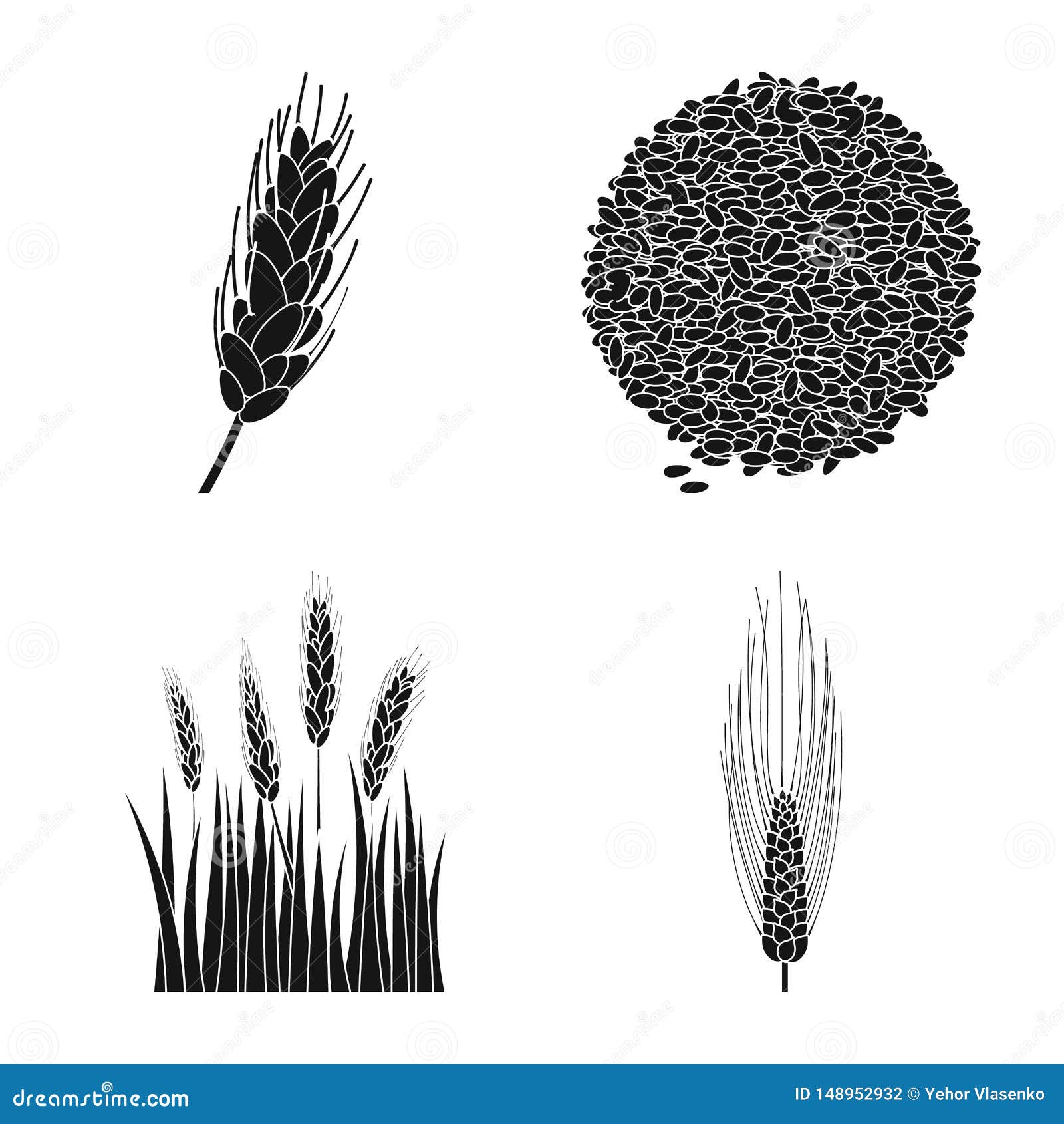 Vector Illustration of Rye and Plant Logo. Set of Rye and Corn Stock ...