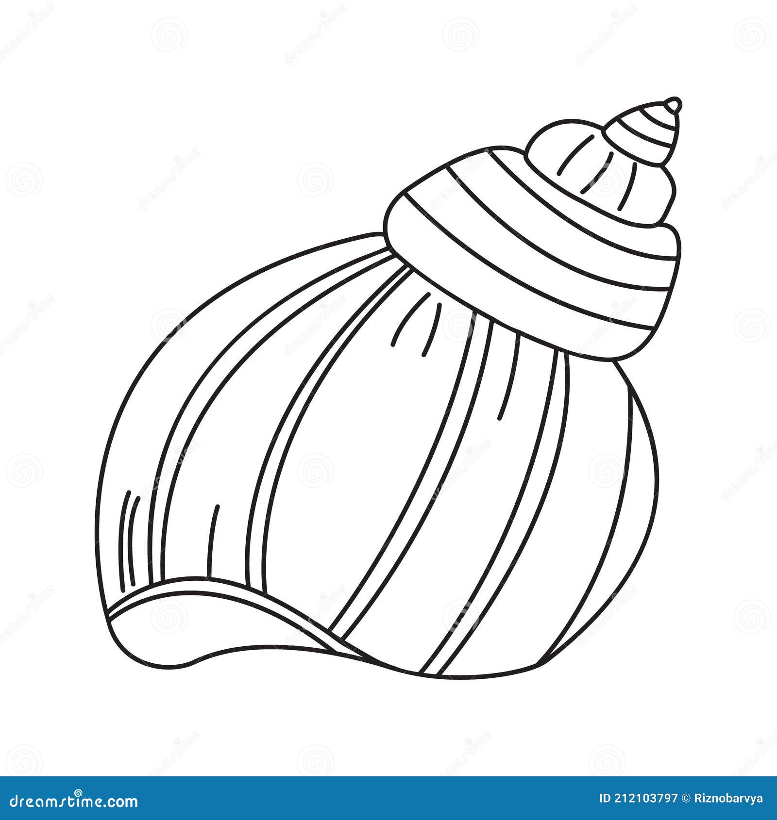 Vector Illustration of a Seashell. Outline Hand Drawing of a Conch ...