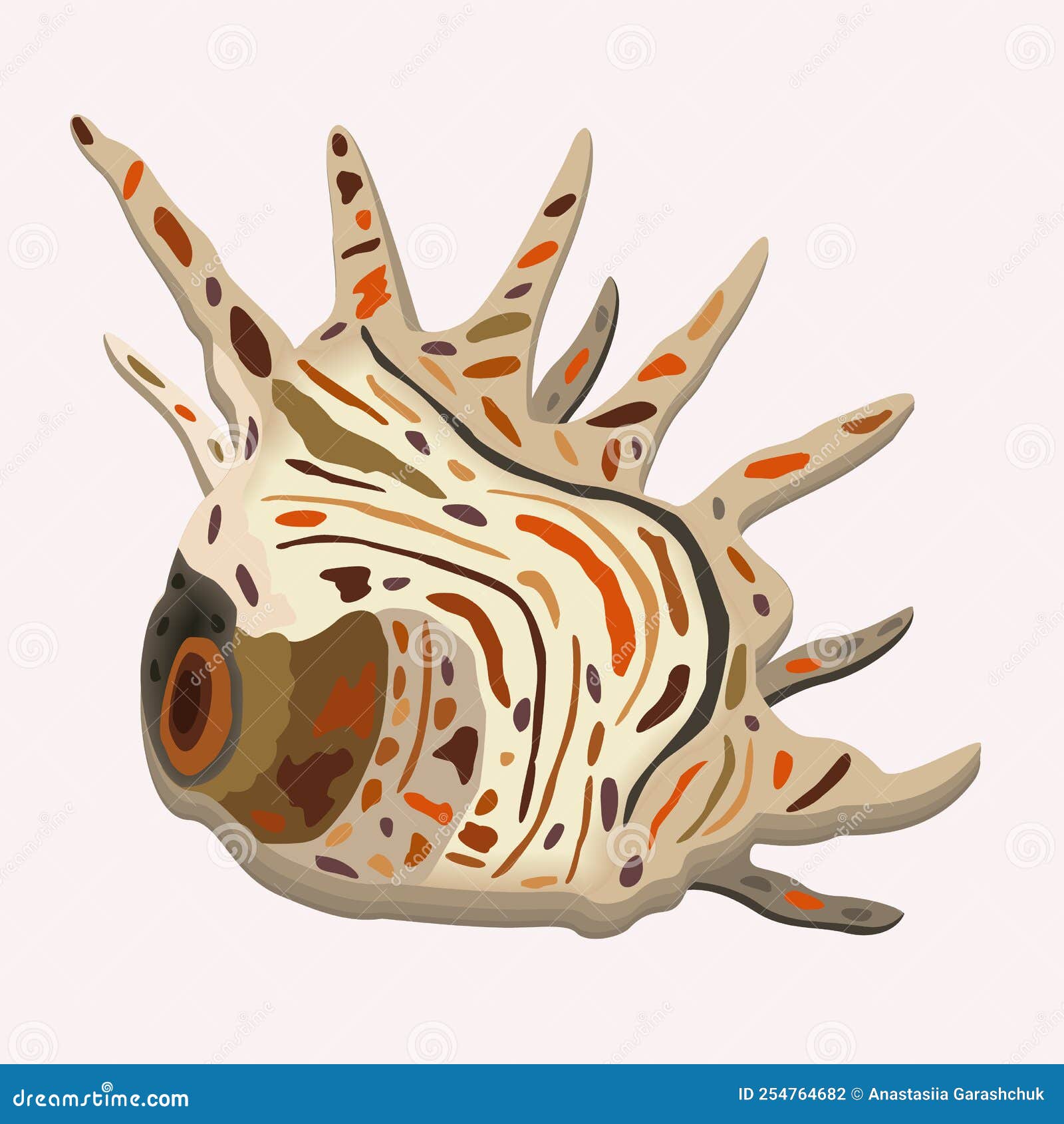 Vector Isolated Illustration of Seashell of Usual Shape with Decorative ...