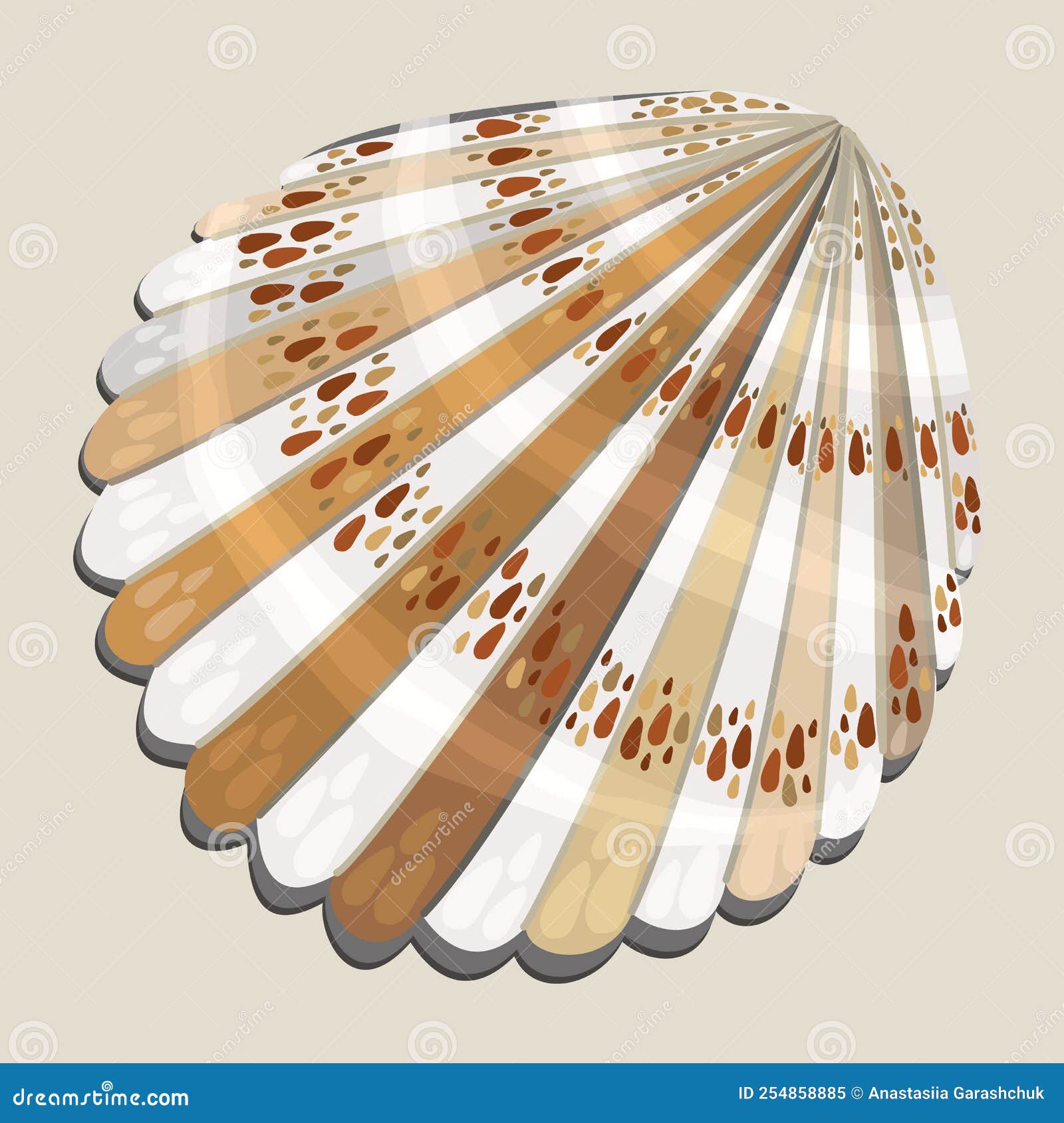 Vector Isolated Illustration of Seashell of Usual Shape with Decorative ...