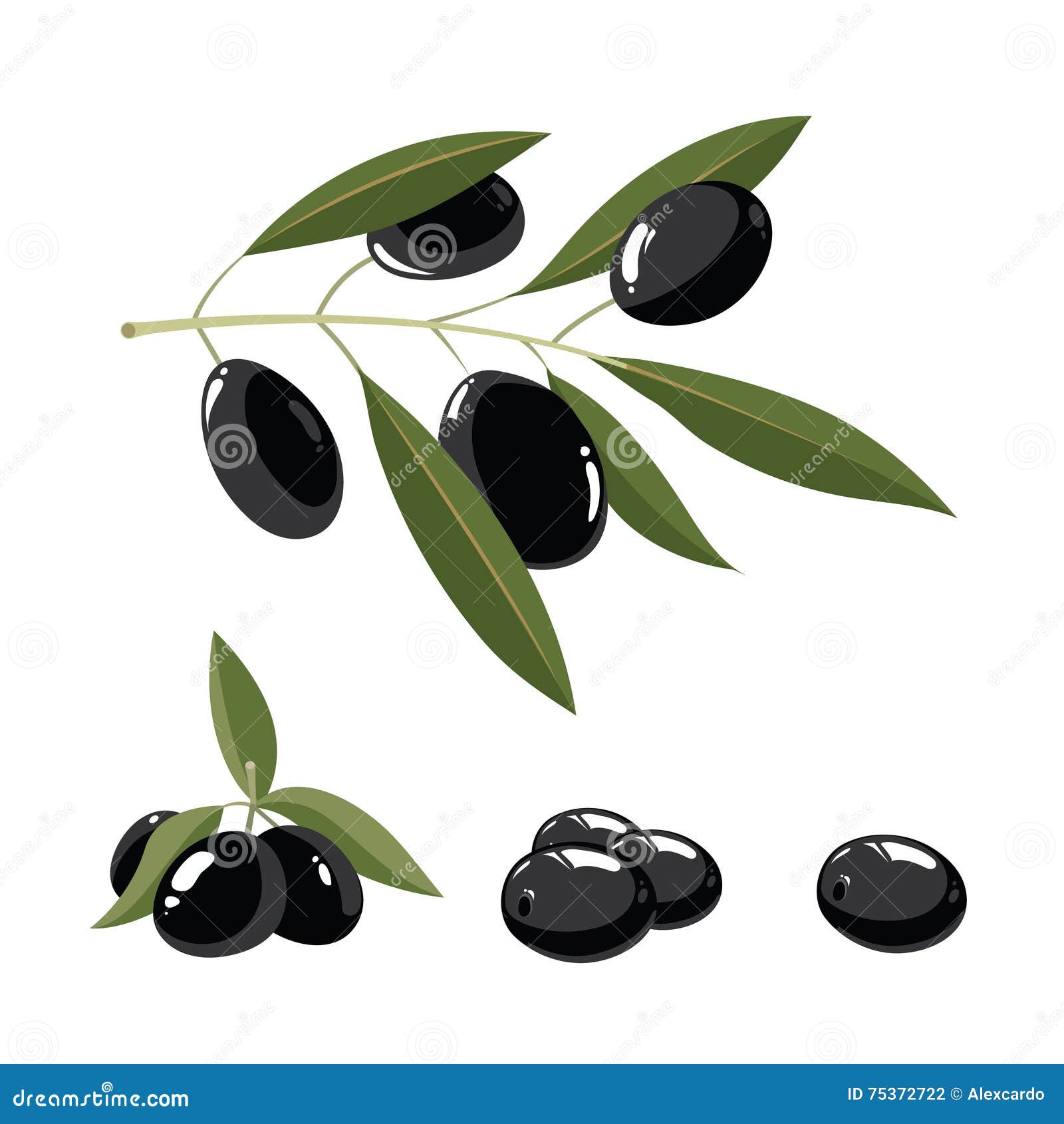Vector Illustration Set of Black Olives with Leafs Stock Vector ...