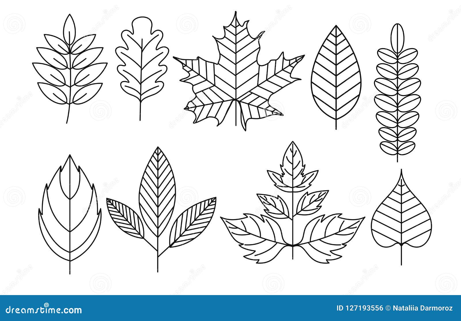 Vector Illustration Set of Doodle Leaves in Line Style, Isolated Floral ...